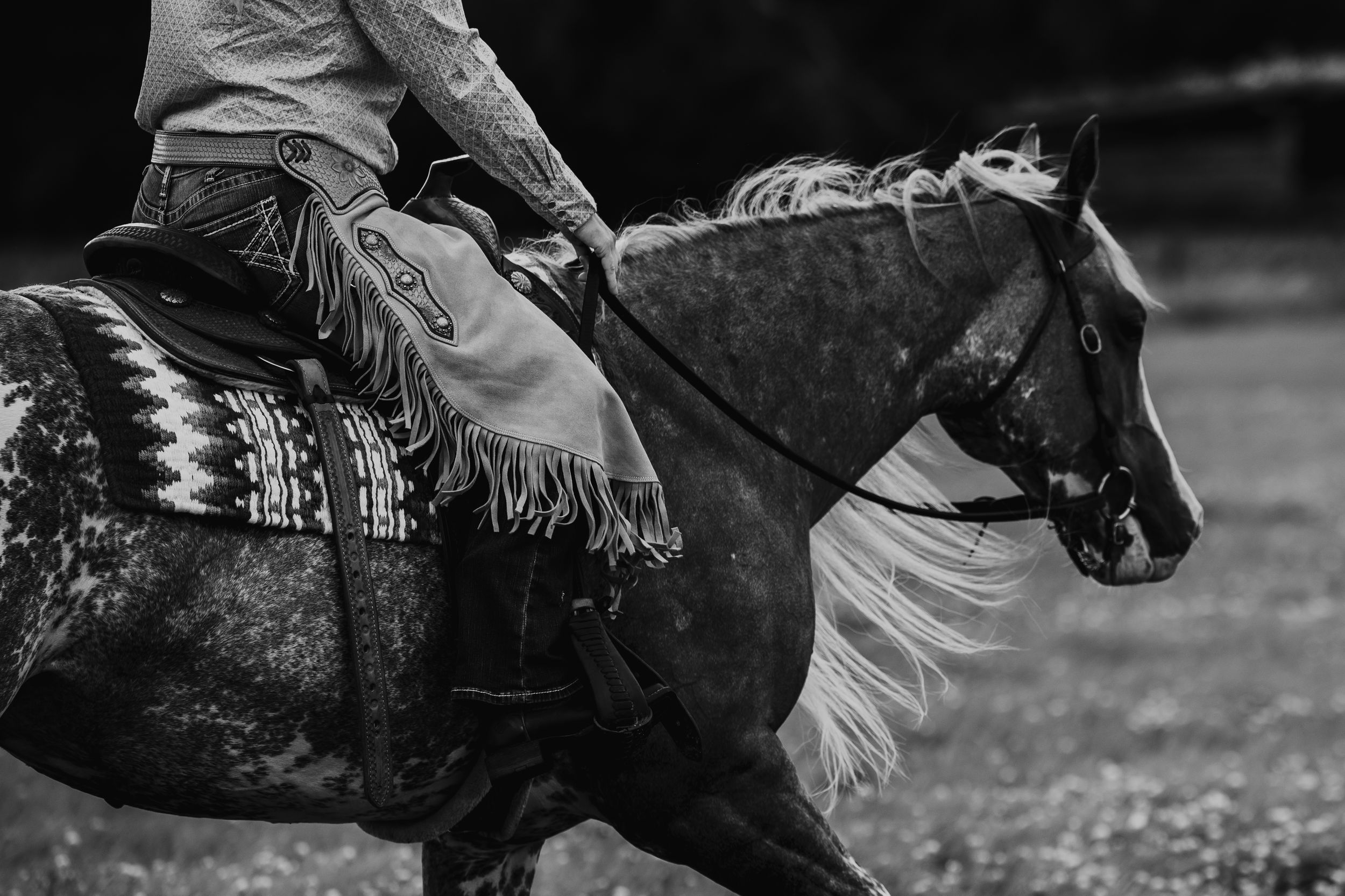 Turning Stormy Skies into Stunning Photos - Anna Archinger | Horse ...