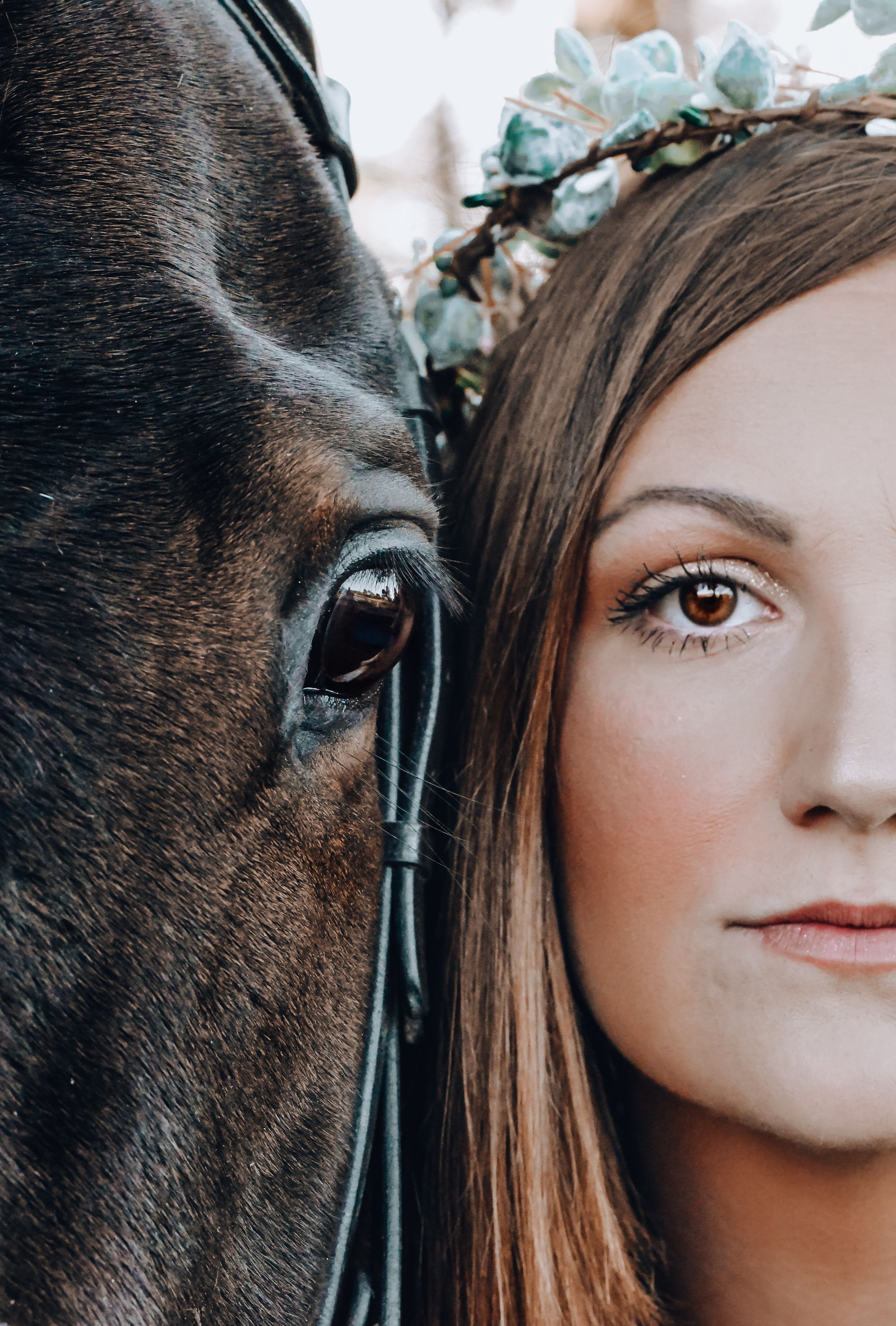 Horse & Rider Services - Kirsten Hannah Photography