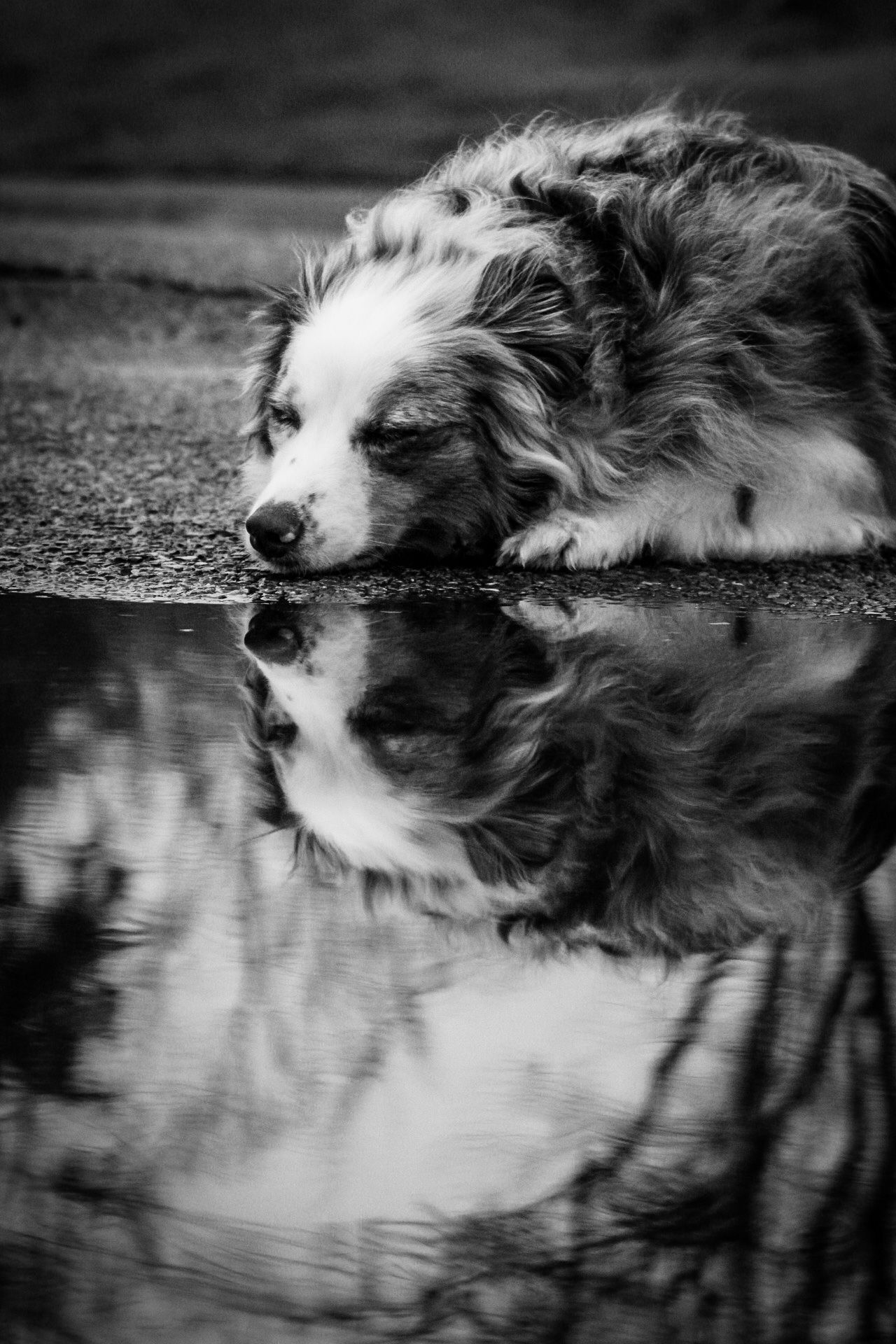 Angelle Dupuis Photography