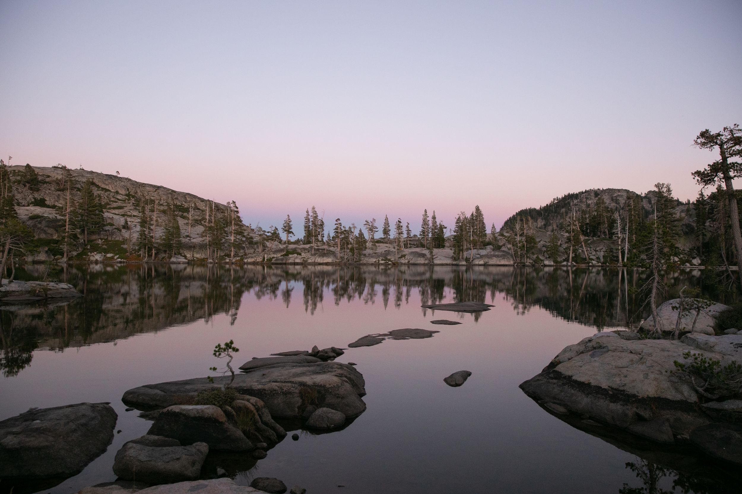 Nature Portfolio - ej photography