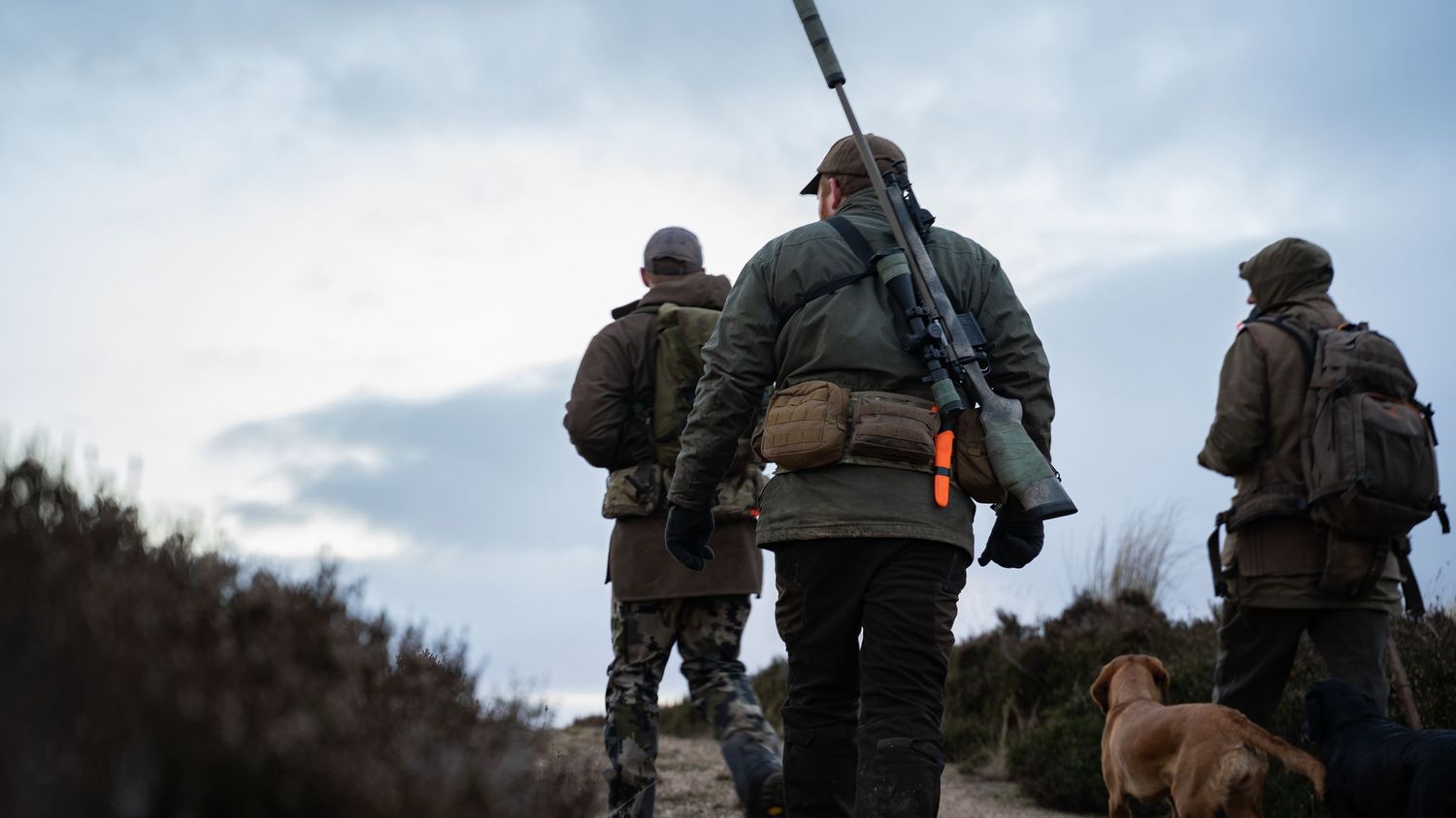 Commercial - Evo's Media