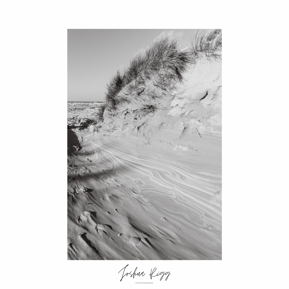 Joshua Rigg Photography