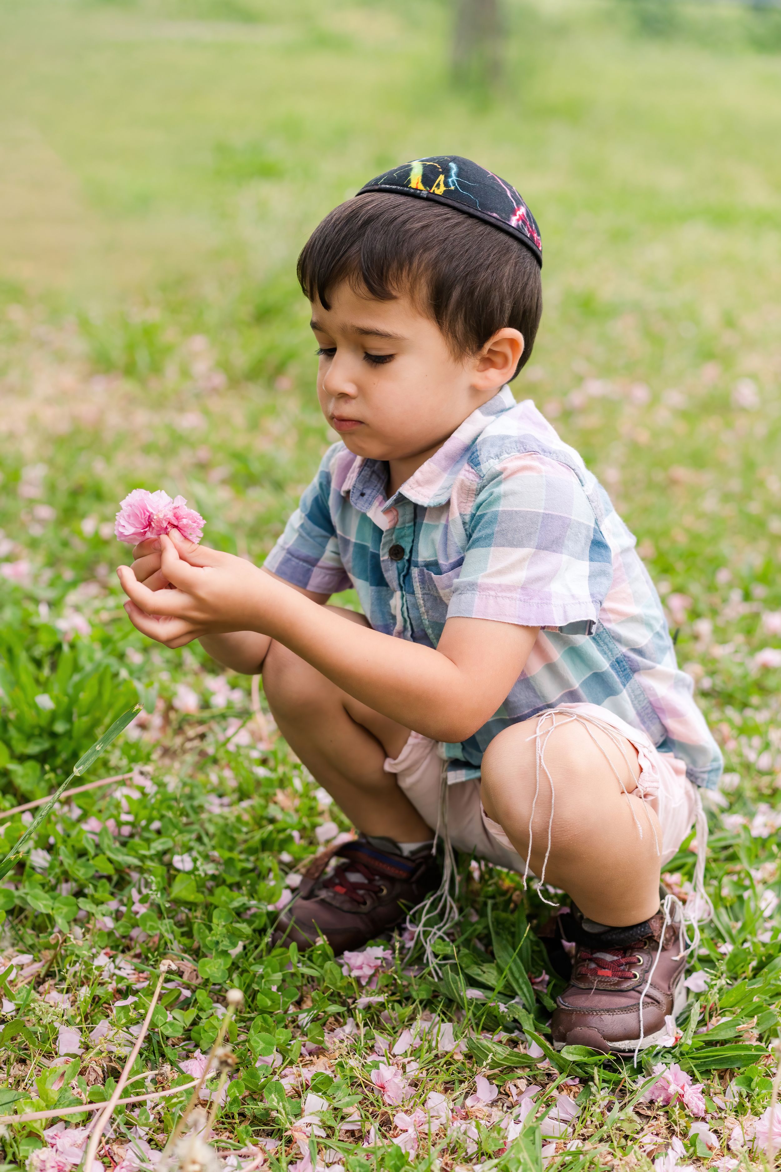 Cherry Blossom-Minis - Malky Nussbaum Photography