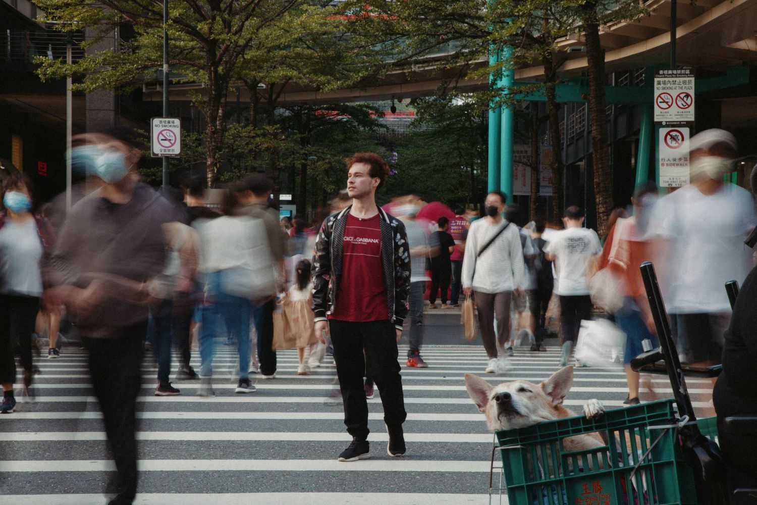 Portfolio - Ray Chang - Taiwan Taipei Photographer