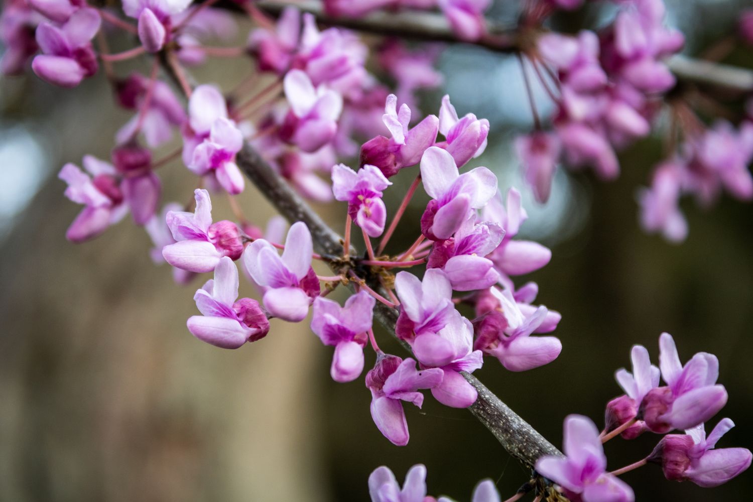 Contact - LM Photography