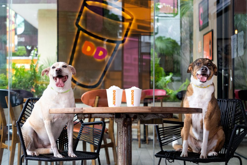 MARCAS - ANA ABDO FOTOGRAFÍA CANINA