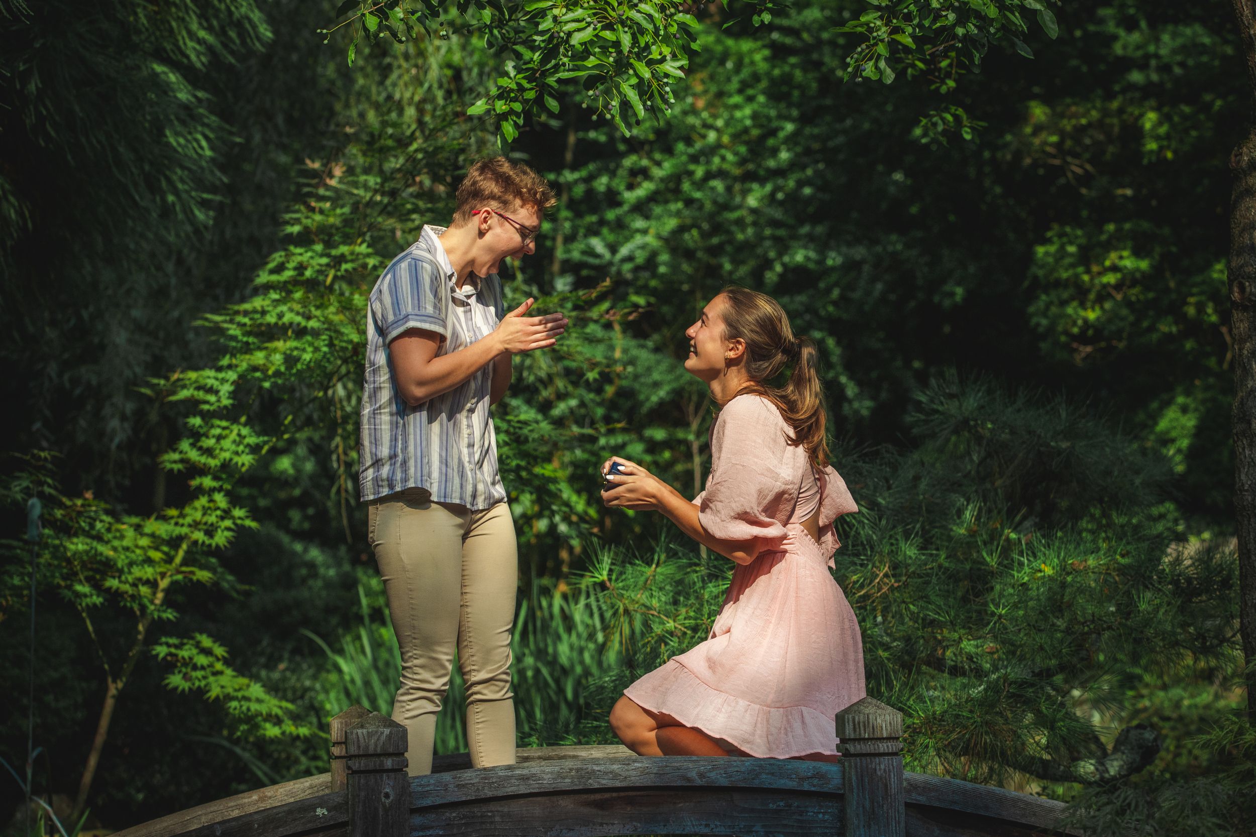 10 best Spring Proposal locations in DC