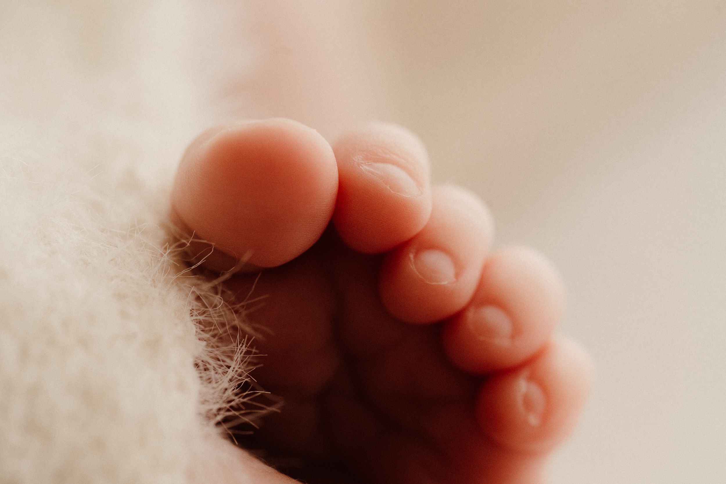 Why I love to take Newborn macro photos + Some tips on how I get them ...
