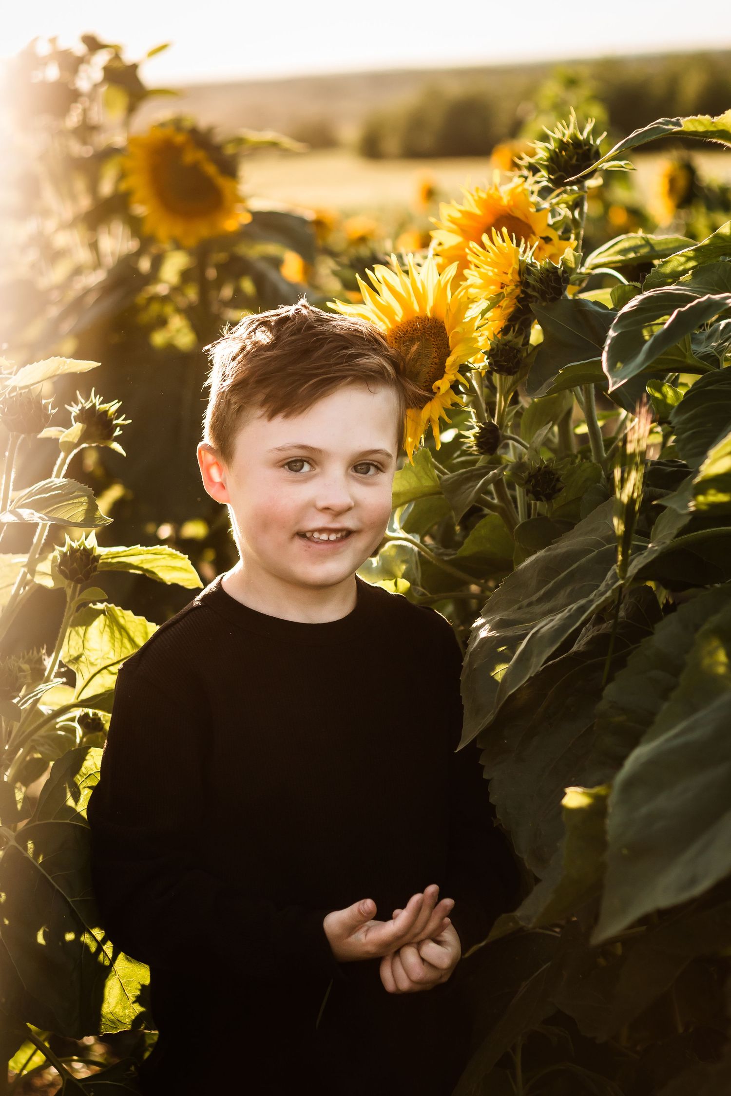 Sunflowers at Sunset Mini Sessions at Bowden Sunmaze 2023 | Calgary ...