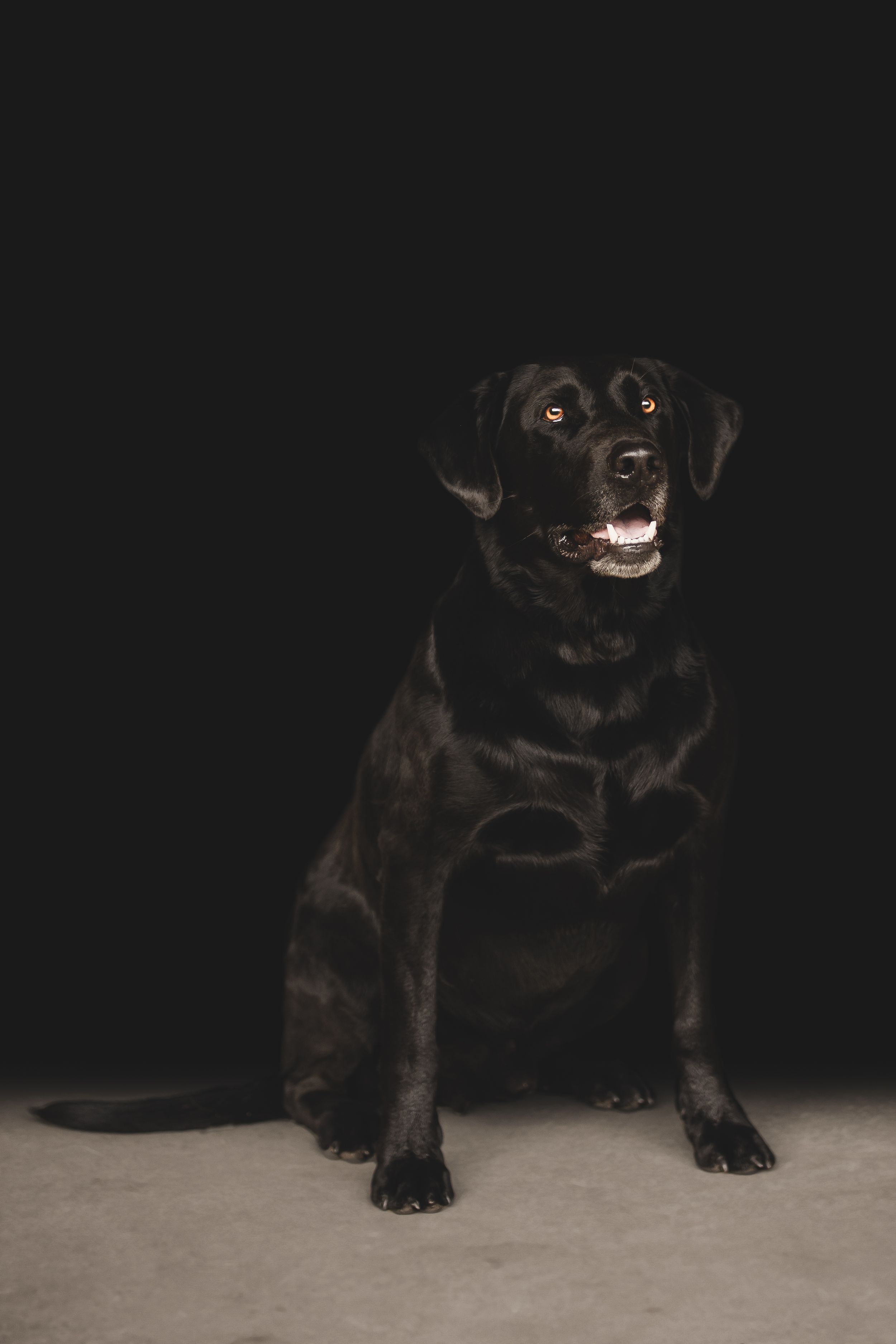 Silver Brand Ranch - Bozeman, MT