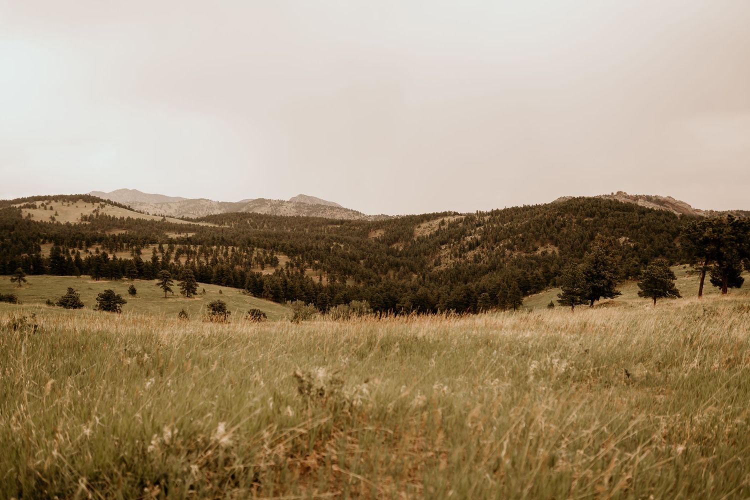 Portfolio - Anthos House Photography