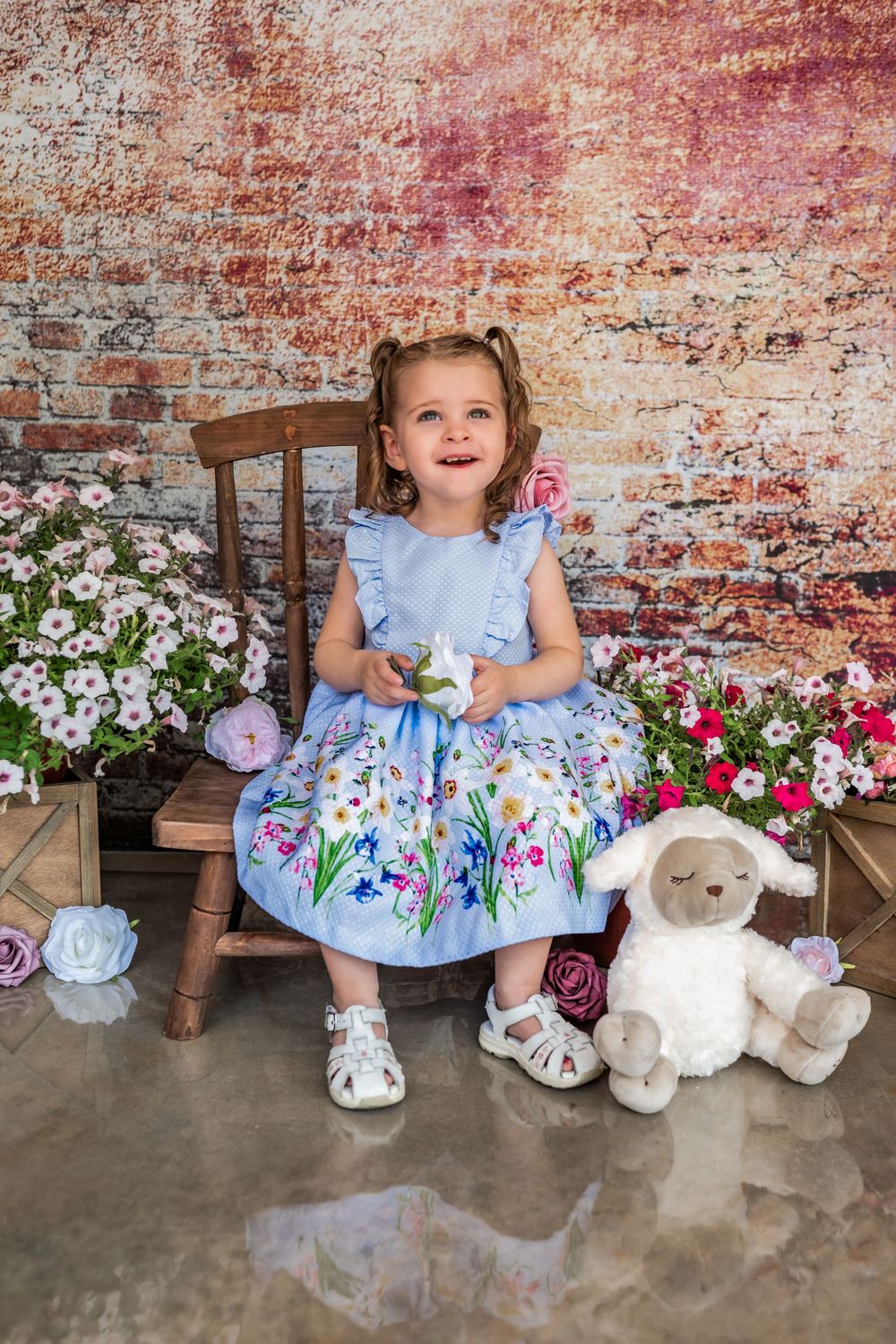 Birthday Portraits - Glass Wings Photography