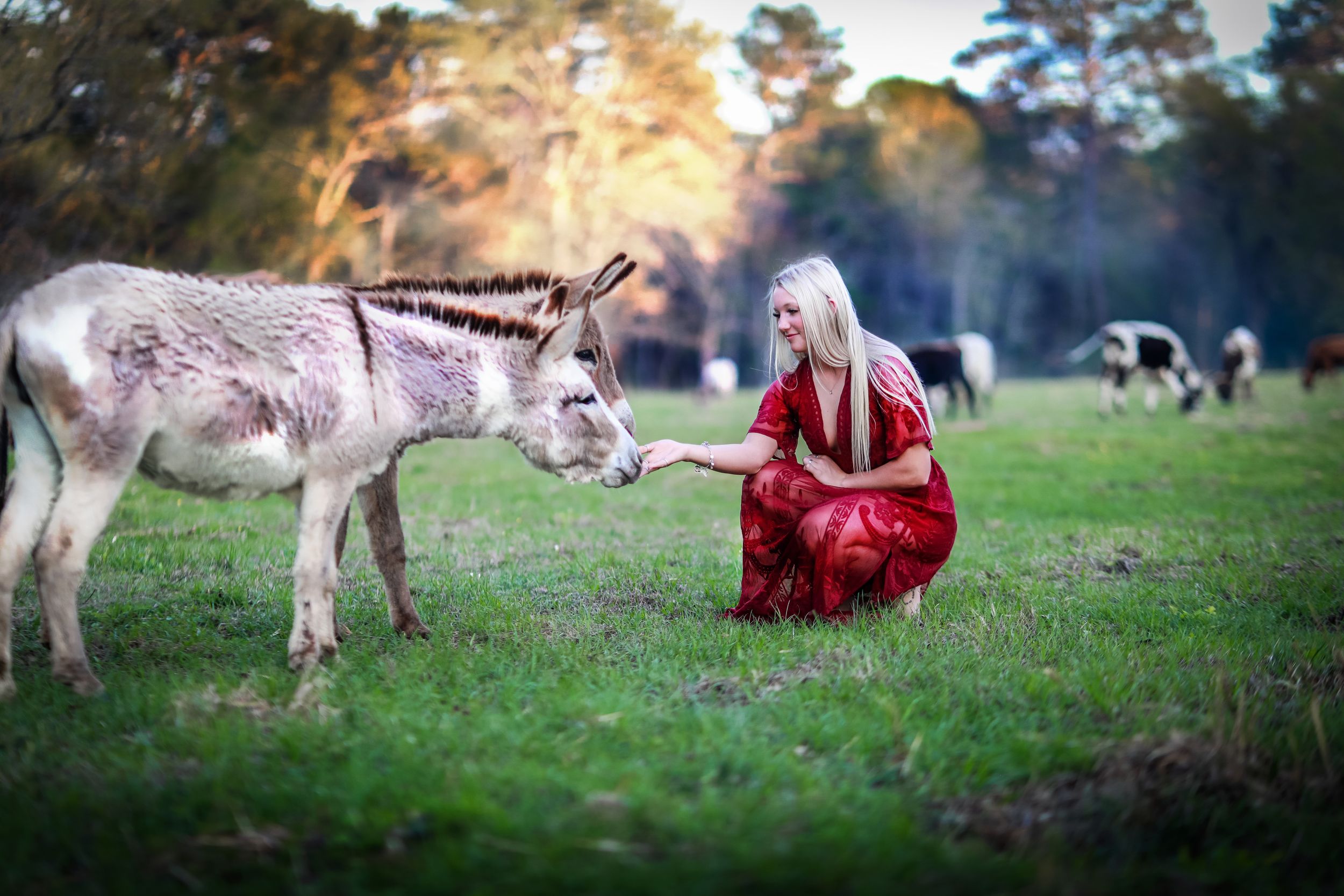 Sassy Massey Photography