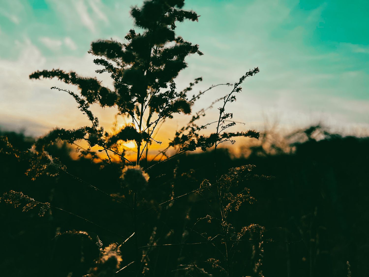 The Estate - Someplace Upstate