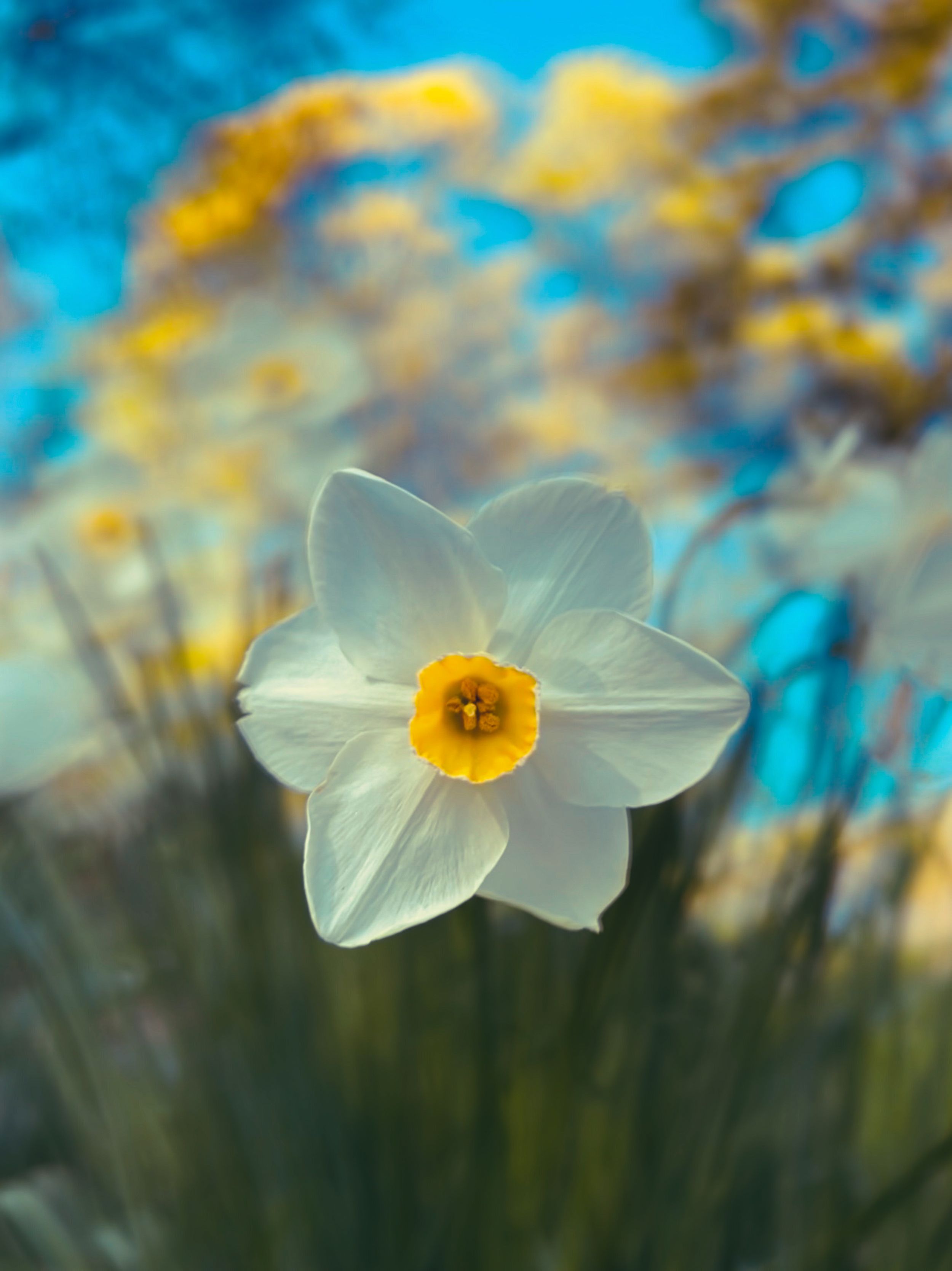 The Estate - Someplace Upstate