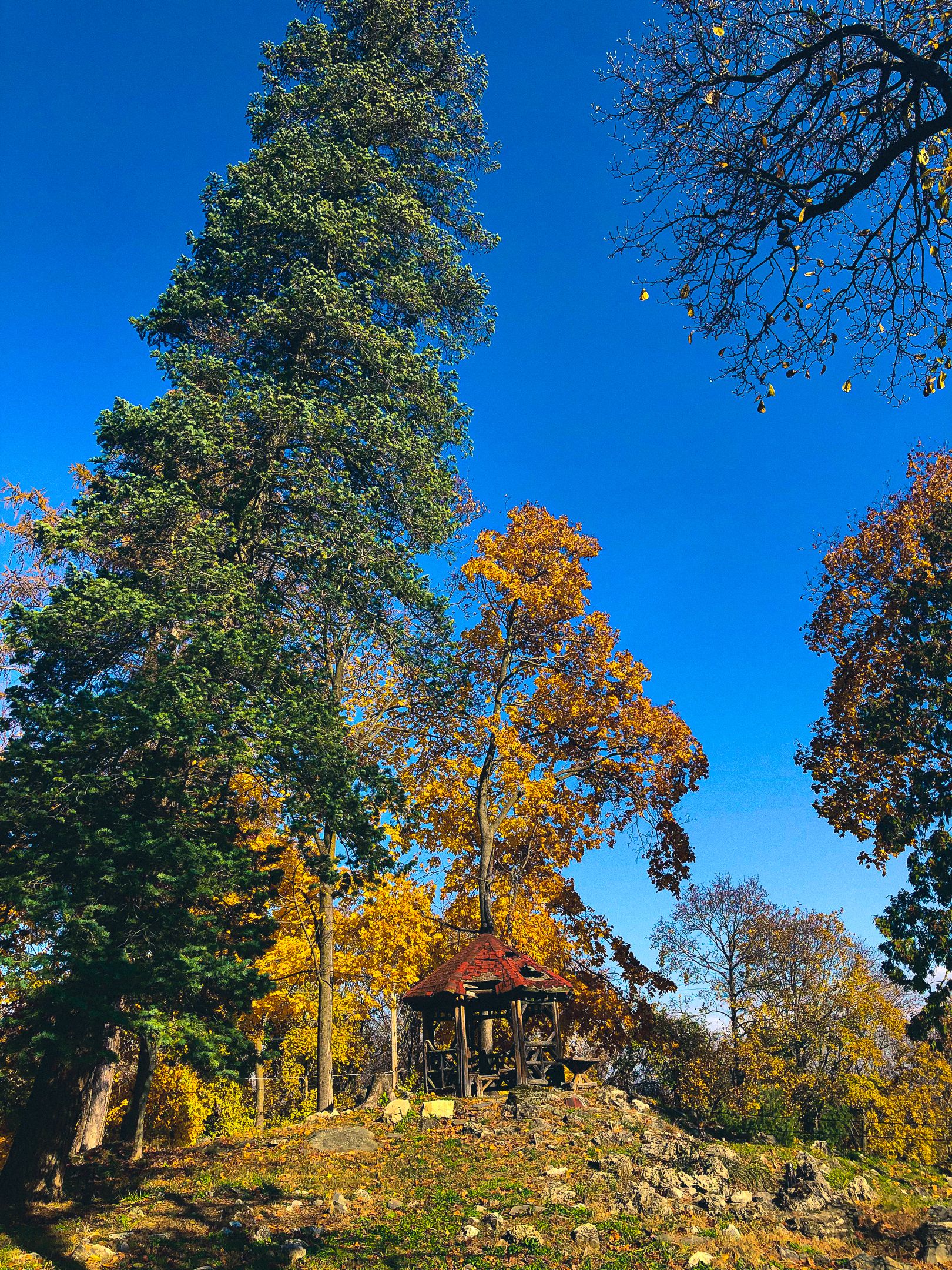 The Estate - Someplace Upstate