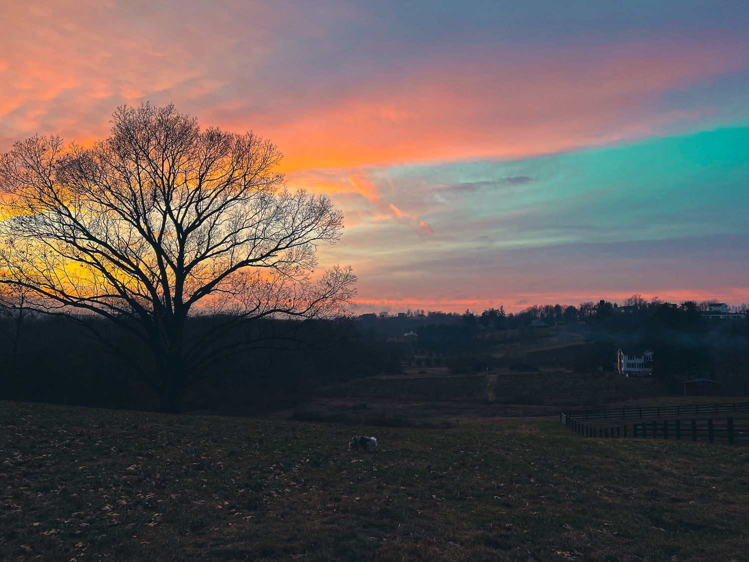 The Estate - Someplace Upstate