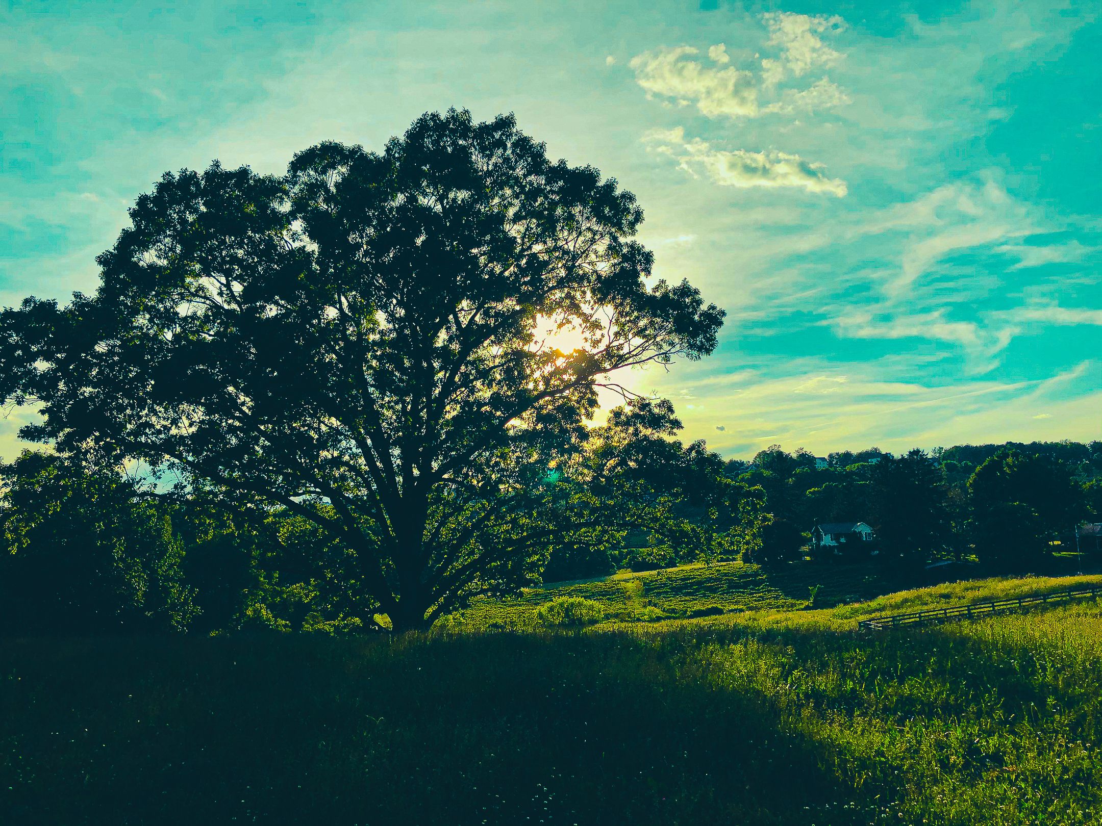 The Estate - Someplace Upstate