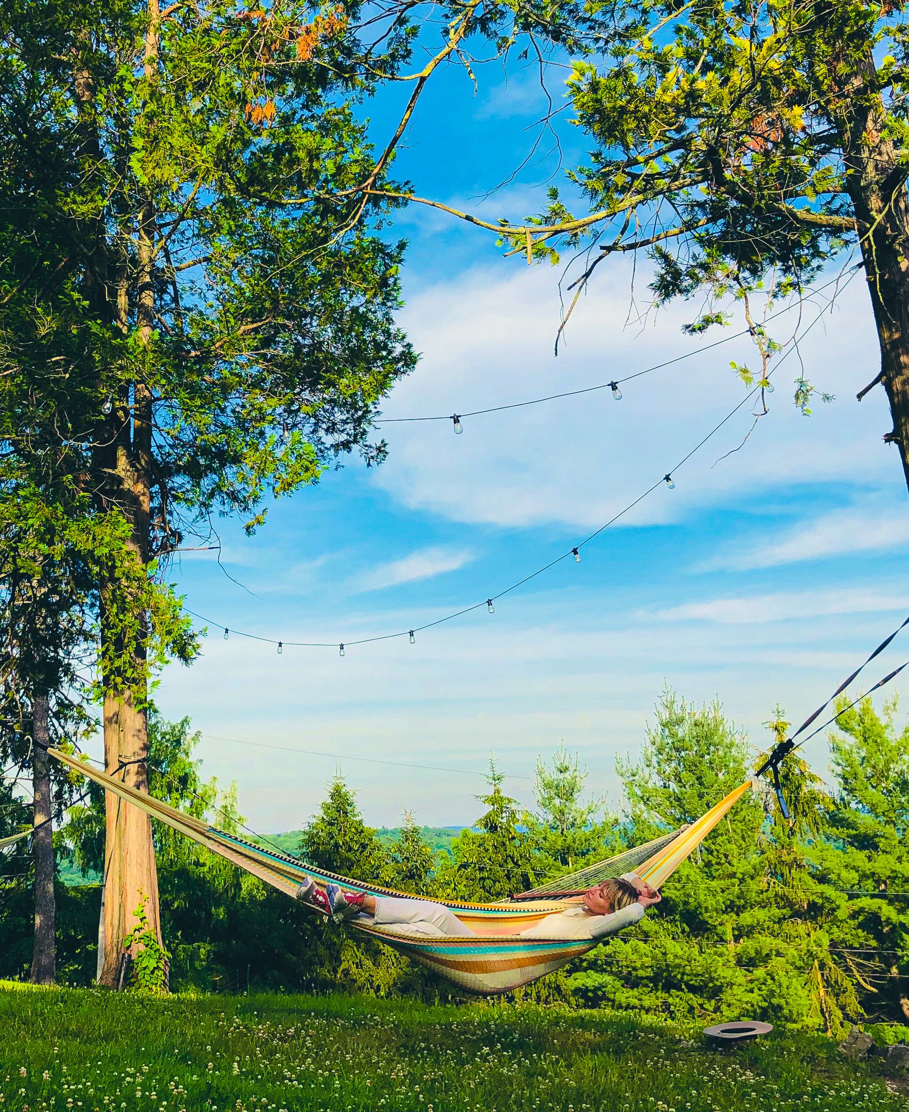 The Estate - Someplace Upstate