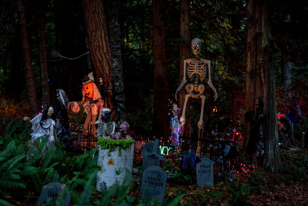 Haunted Forest Walk at Salty Bonez Shack - Hannah Spray Photography