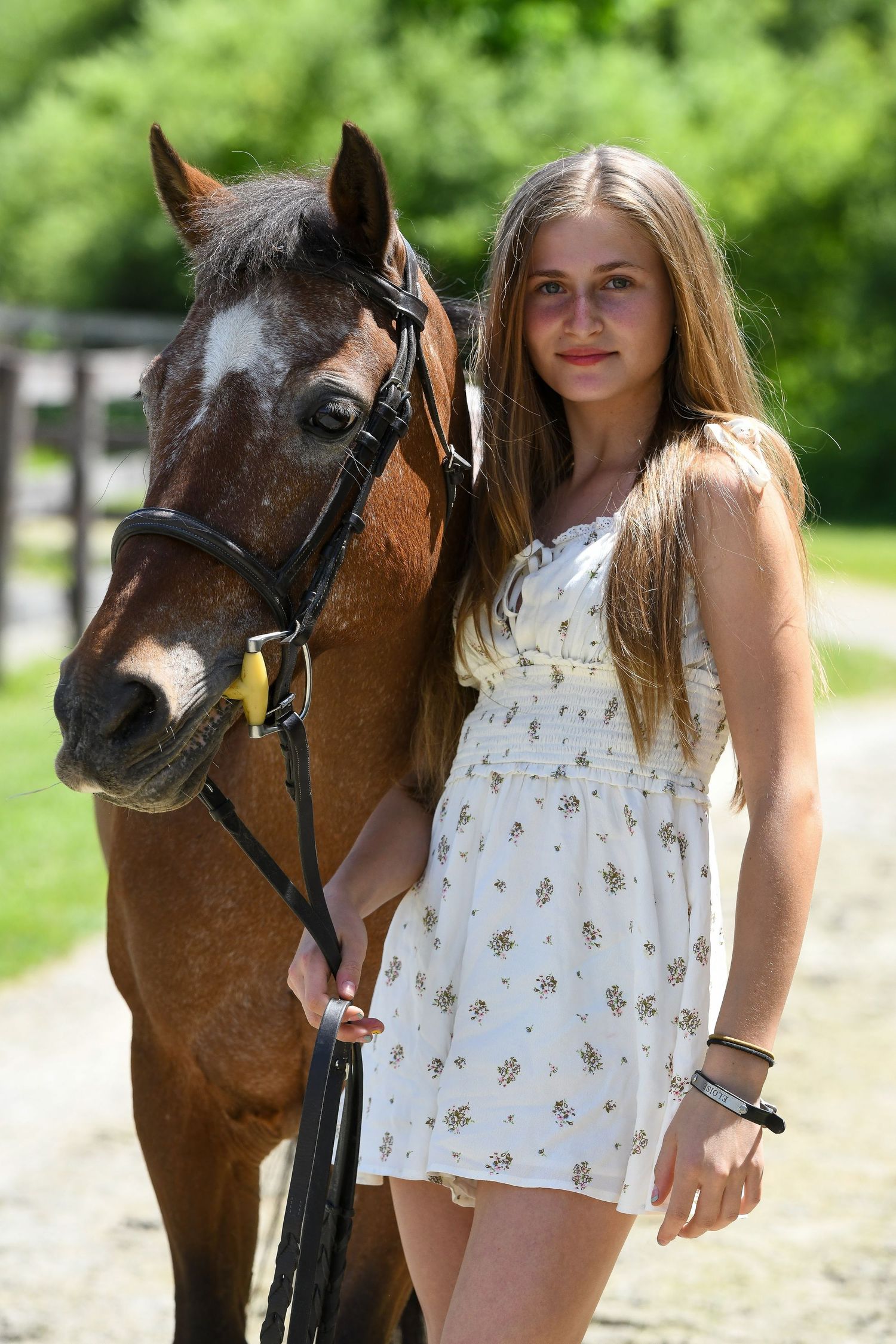 Get ready! - Equestrian | Equine | Photographer | Hudson Valley, New ...