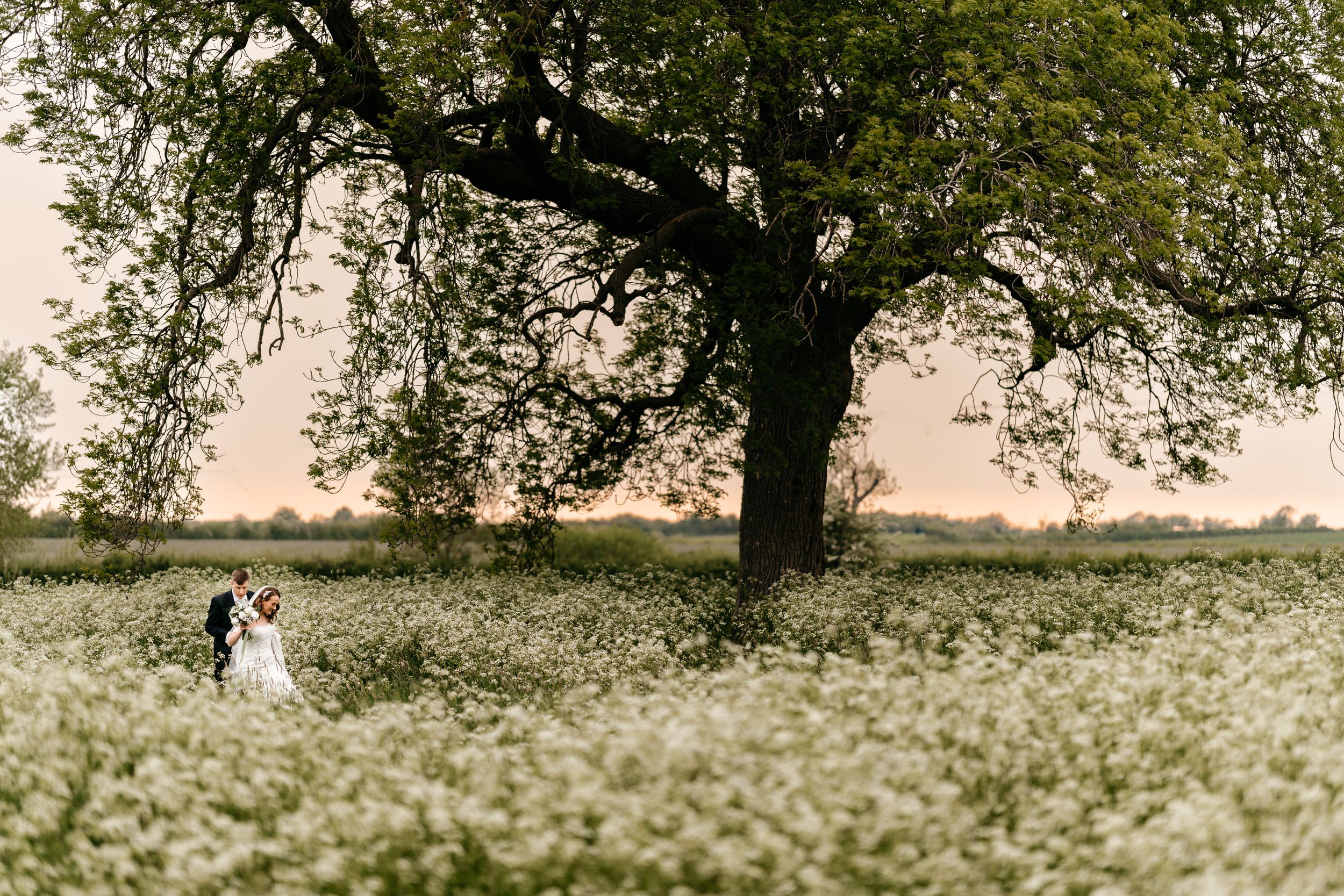 Pricing - David Cook Photography