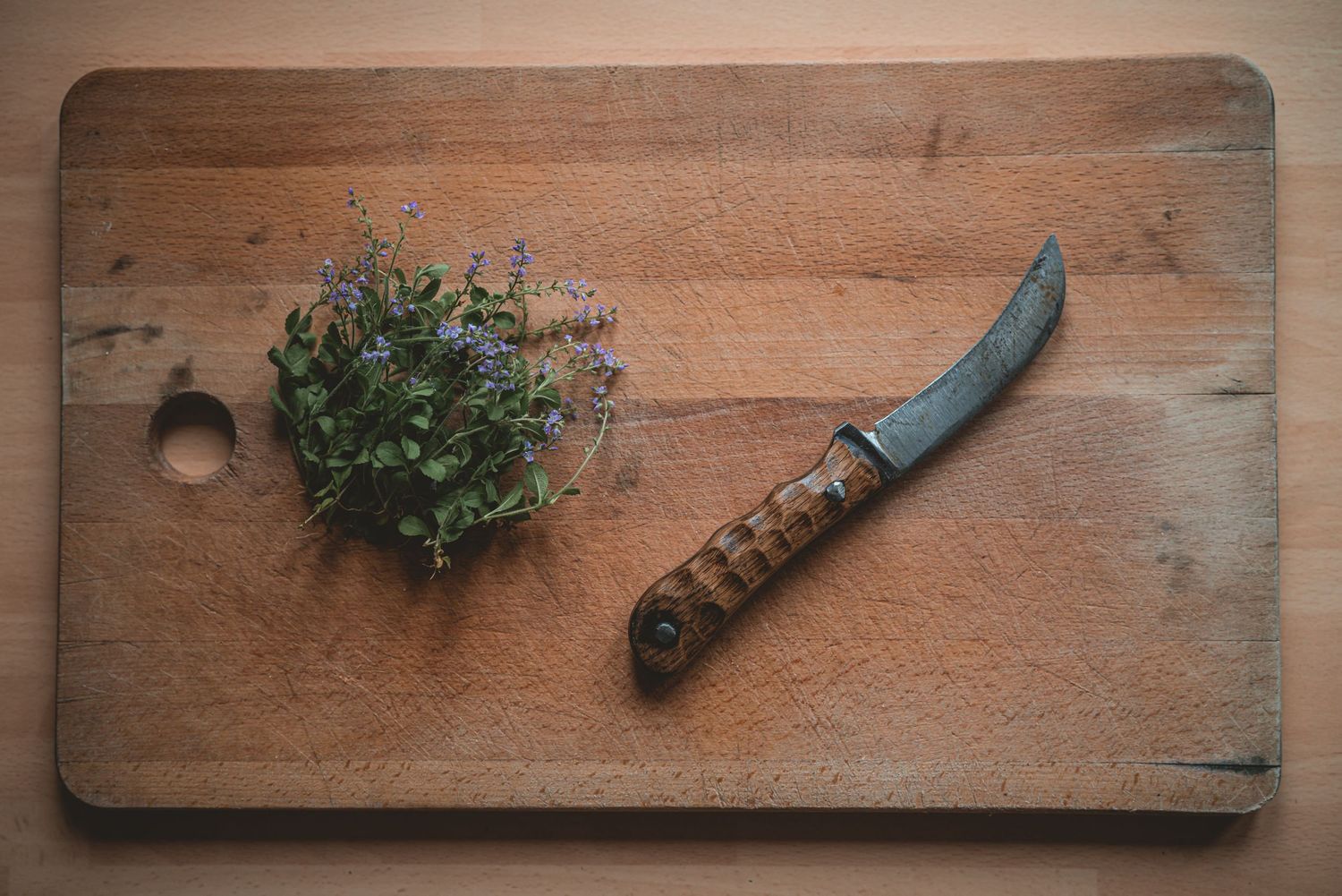 Gypsyweed - The Grizzly Forager: The Definitive Guide to Foraging with Kids