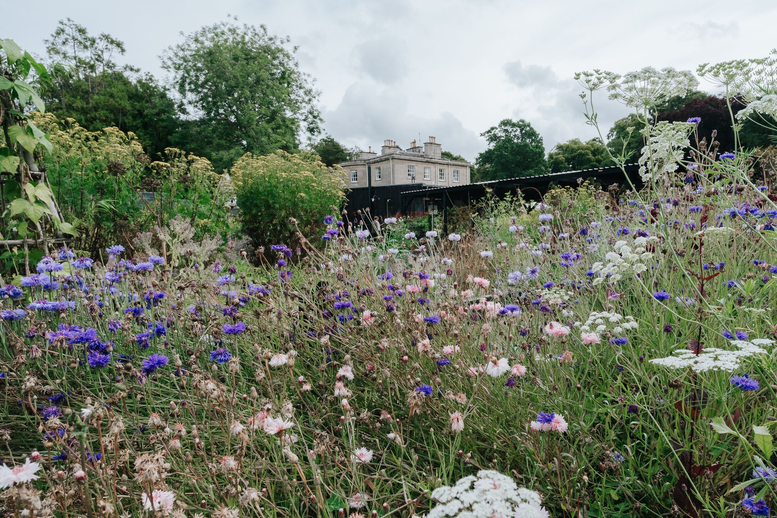 Boath House // Emily & Jack - Roksana Ulas Photography