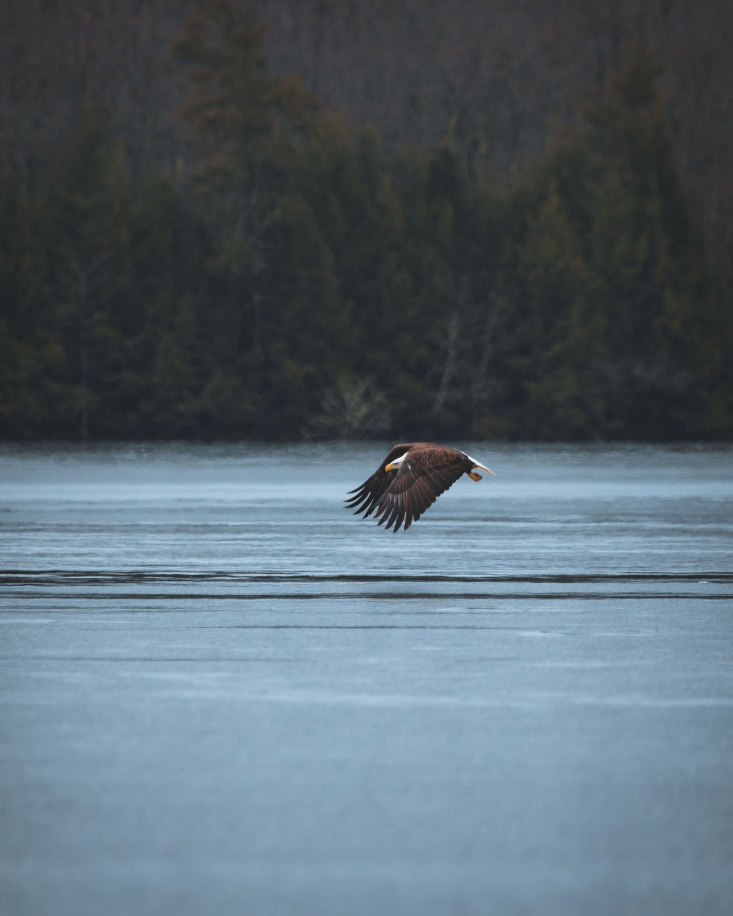 Contact - Josh Romaker Photography