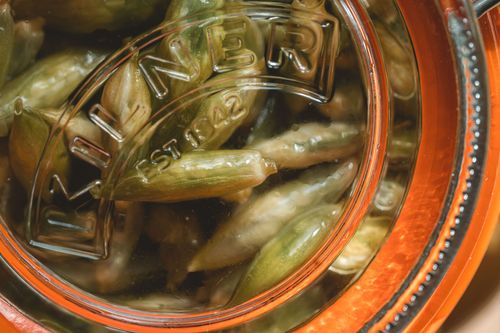 Recipes: Pickled Wild Garlic Buds - The Grizzly Forager: The Definitive ...