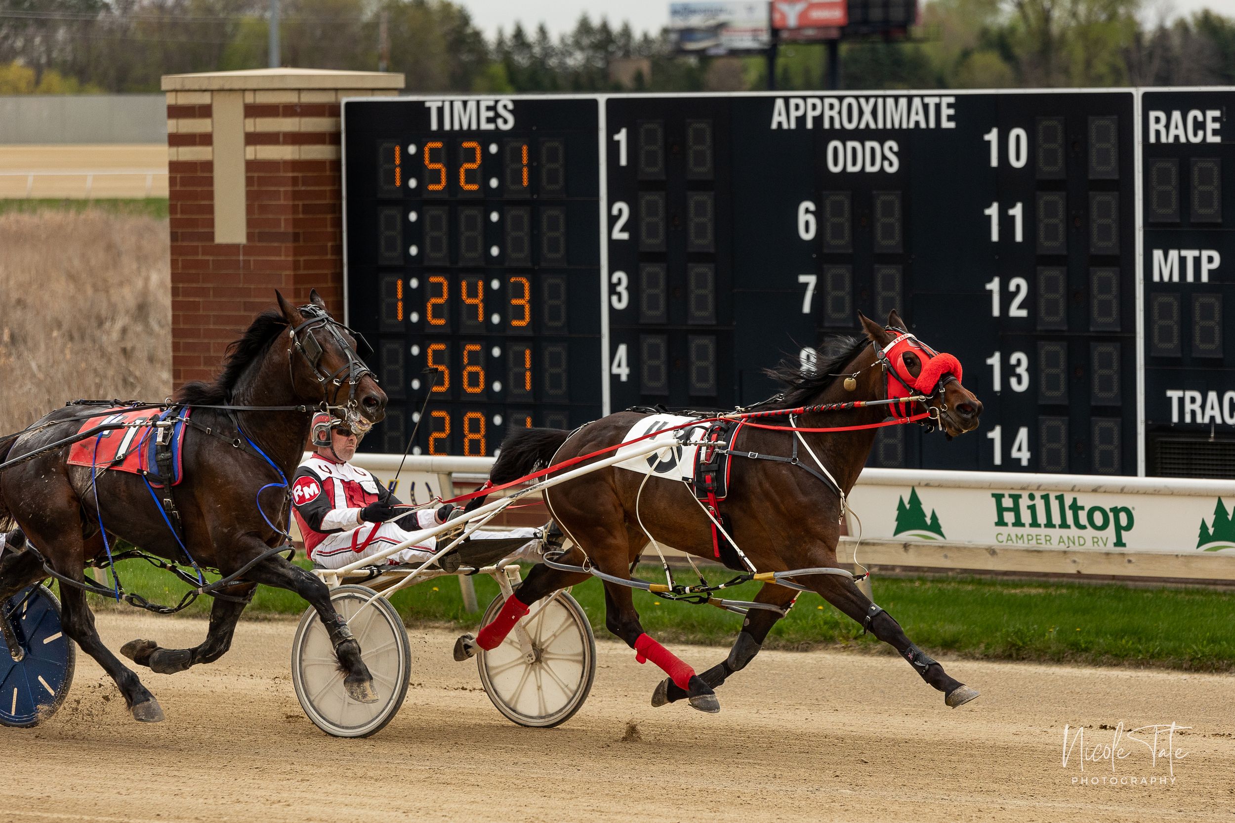 Running Aces - Main - Nicole Tate Photography