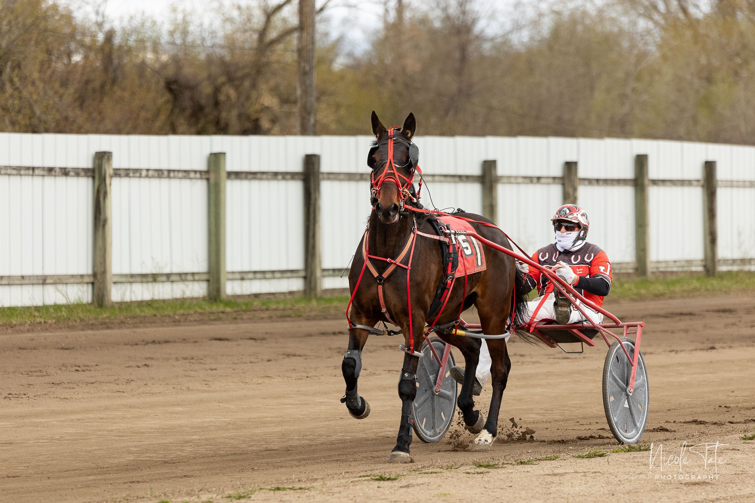 Running Aces - Main - Nicole Tate Photography