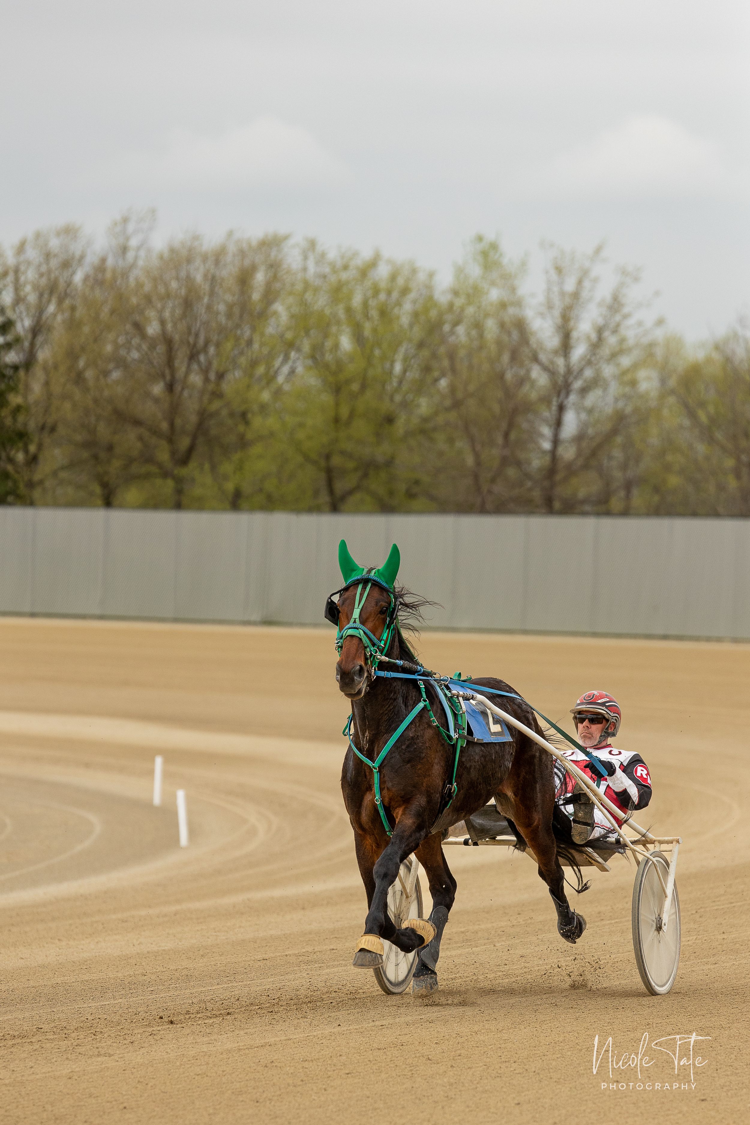 Running Aces - Main - Nicole Tate Photography