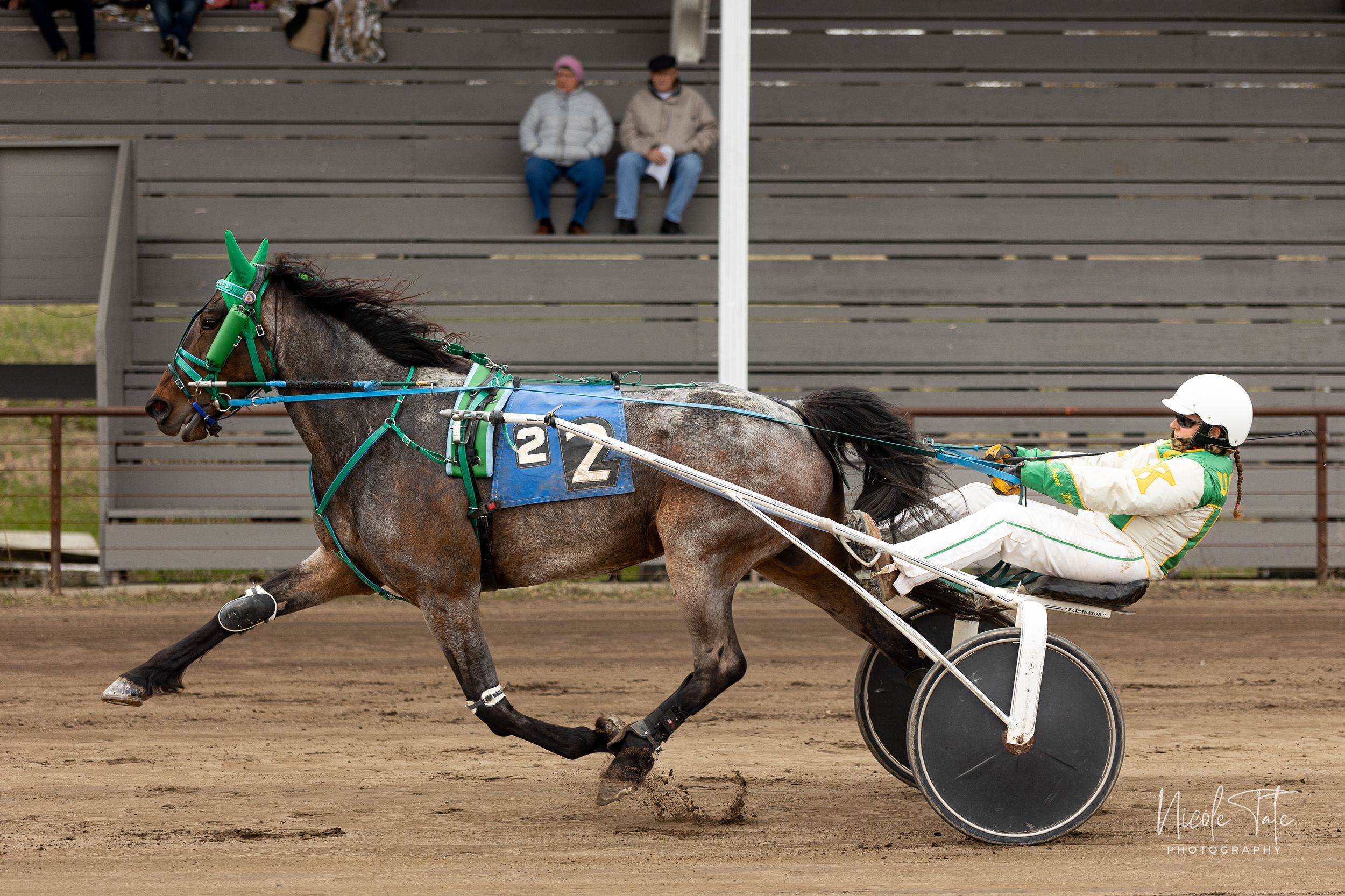 Running Aces - Main - Nicole Tate Photography