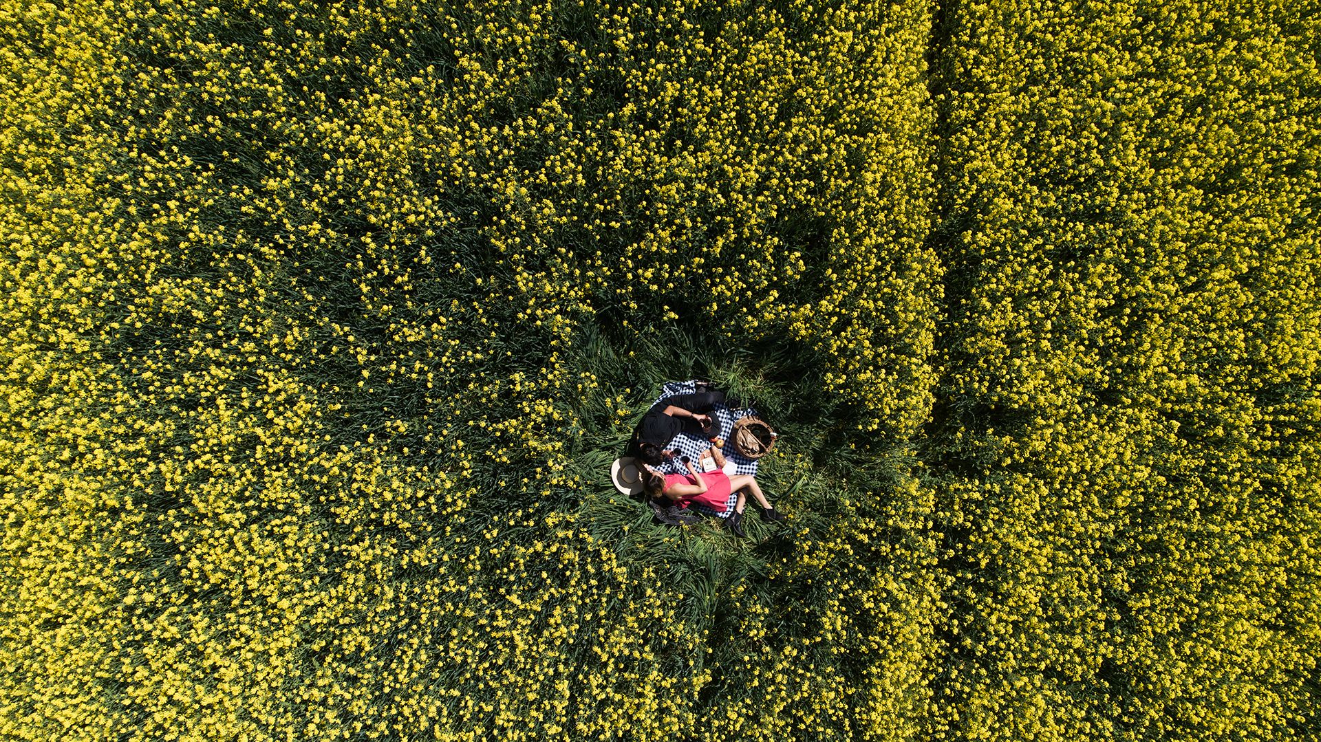 Pro Tips For Planning A Shoot - Three Pod Studio