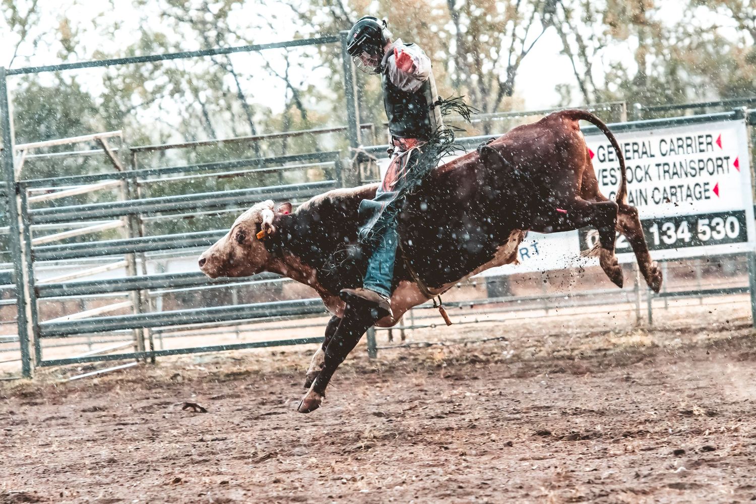 Event Galleries - Song Bird Creative