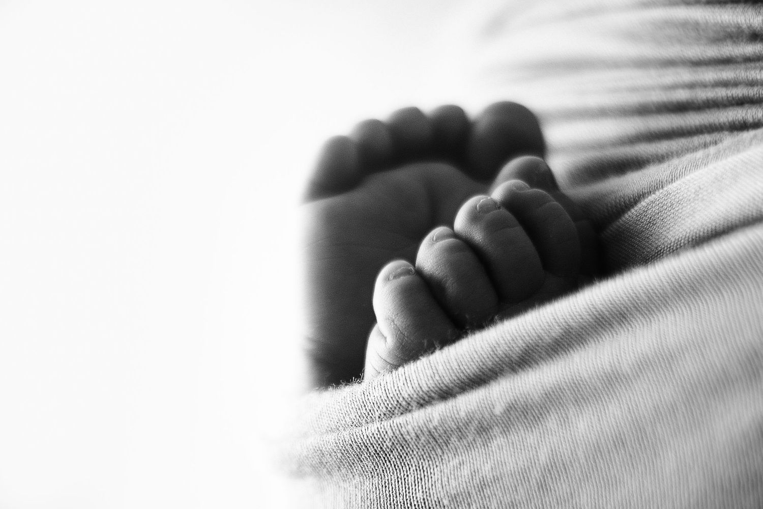 Contact - Bowen Arrow Images