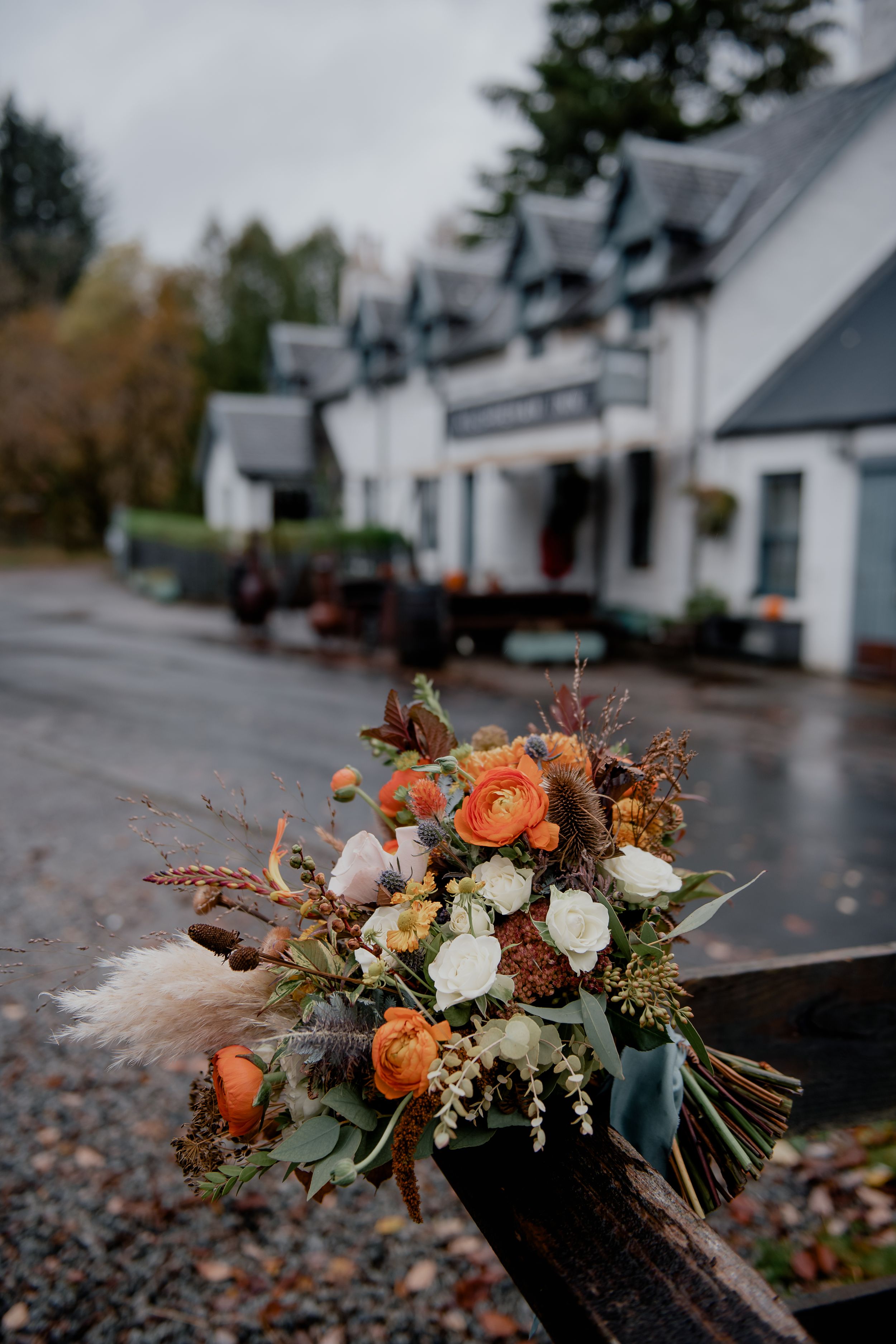 Morgan + Rose Photography