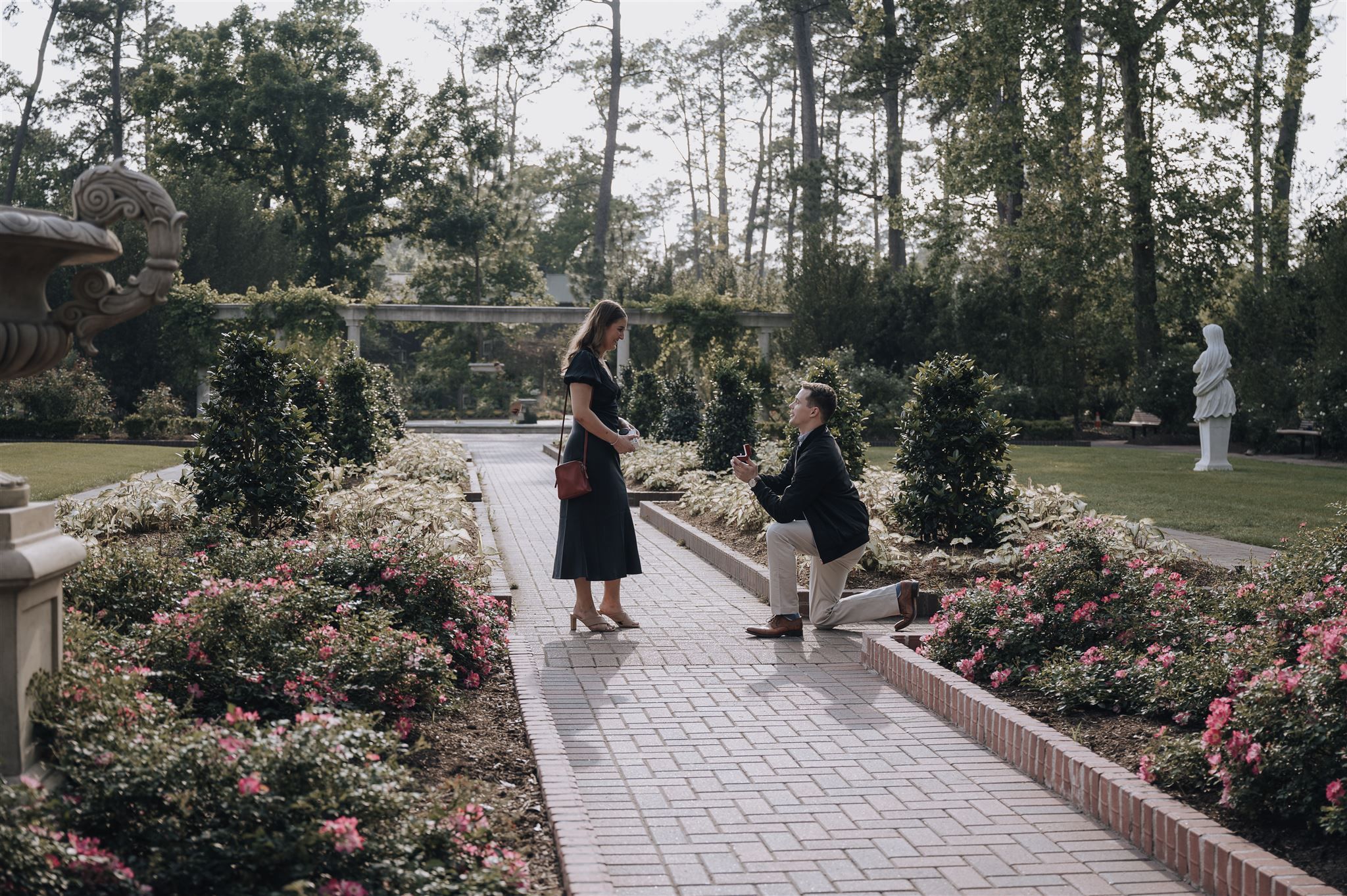 How to Propose in the Greater Houston Area - Unveil Your Unique Story ...