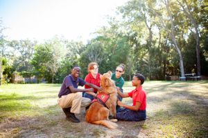 Portfolio - The Beehive Foundry