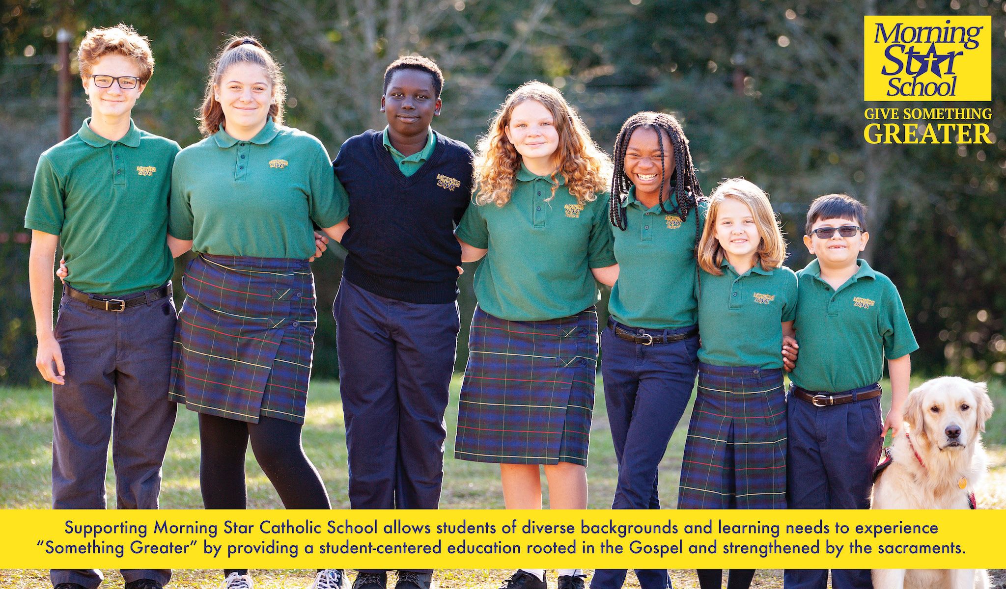 Portfolio - The Beehive Foundry