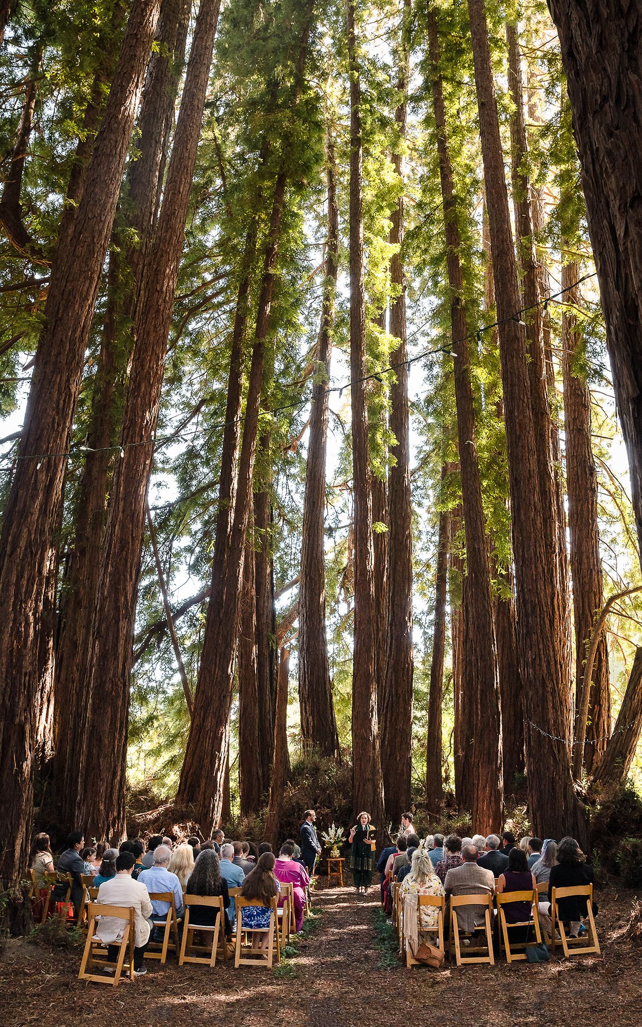 Santa Cruz Redwood Forest Wedding | Rachelle & Remy - Picturist ...