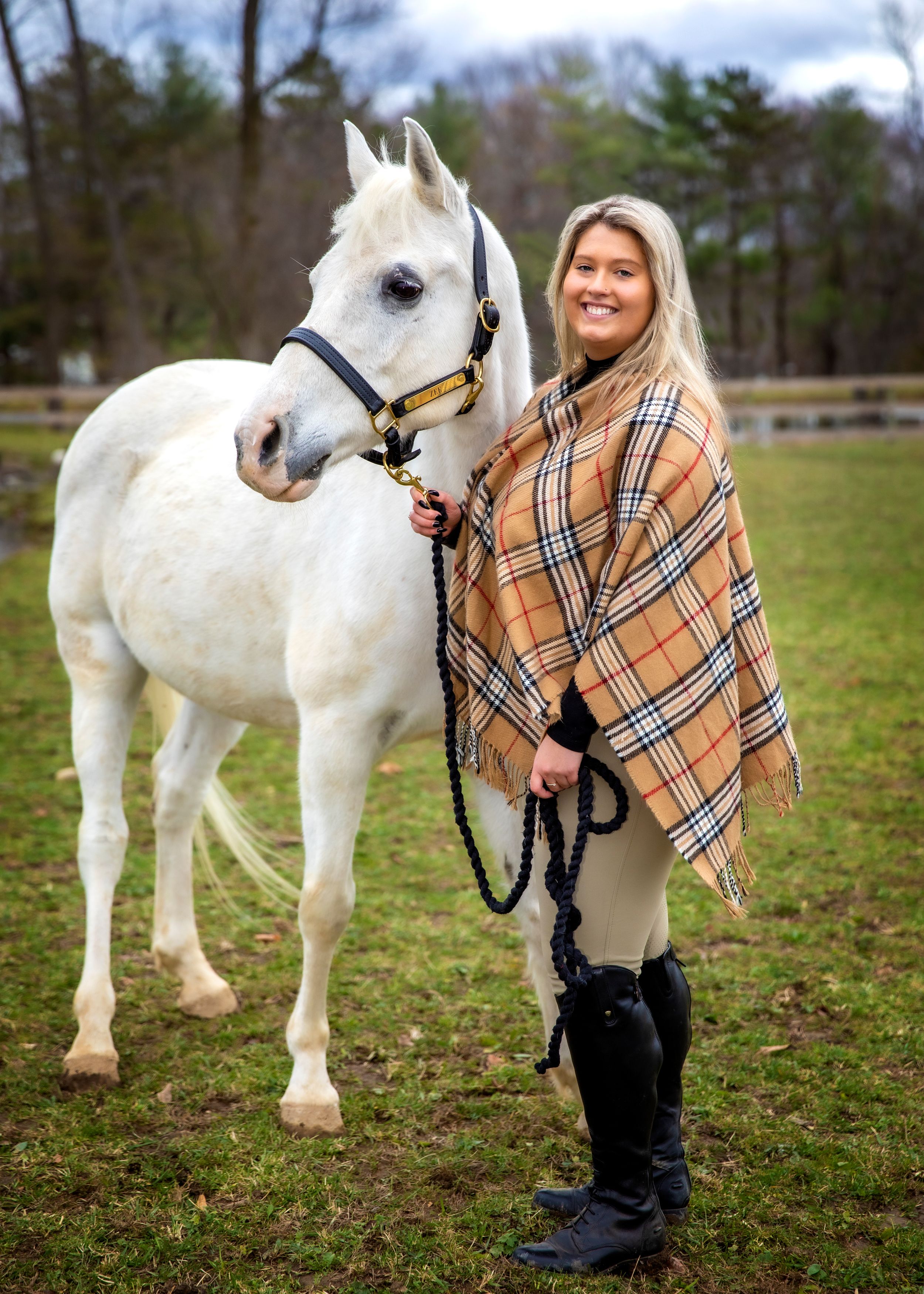 Equine - All Things Beautiful Photography