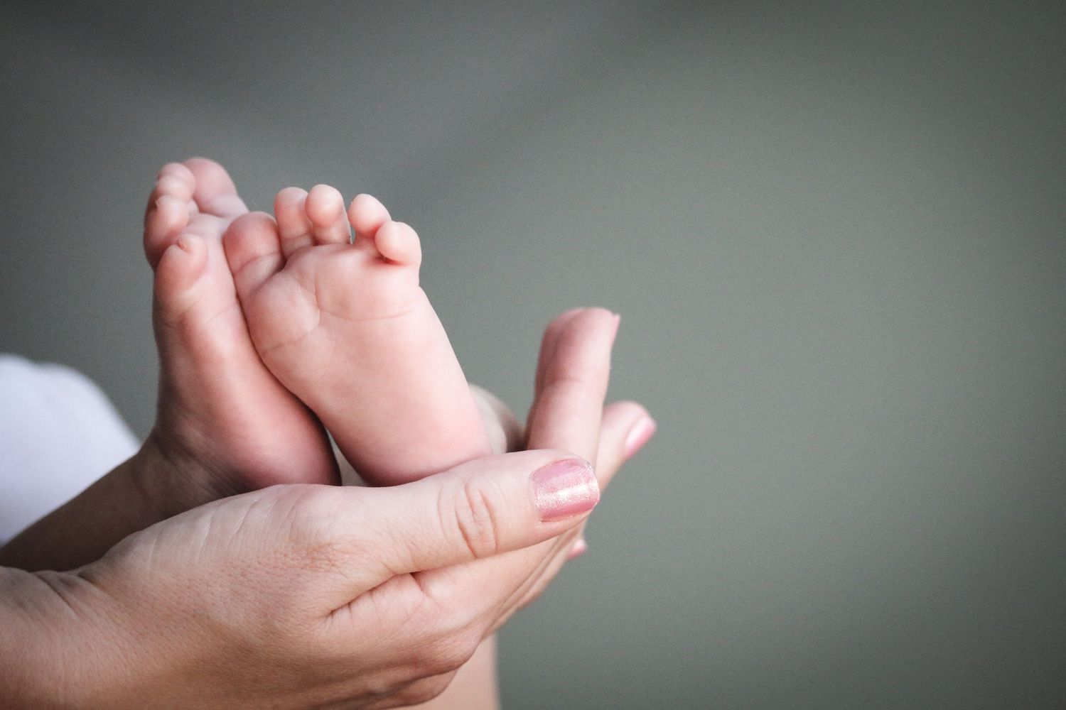 Portfolio - Sarah Long Photography