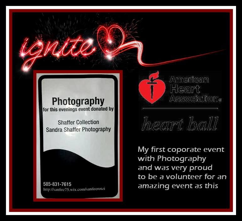 Sandra Shaffer Photography