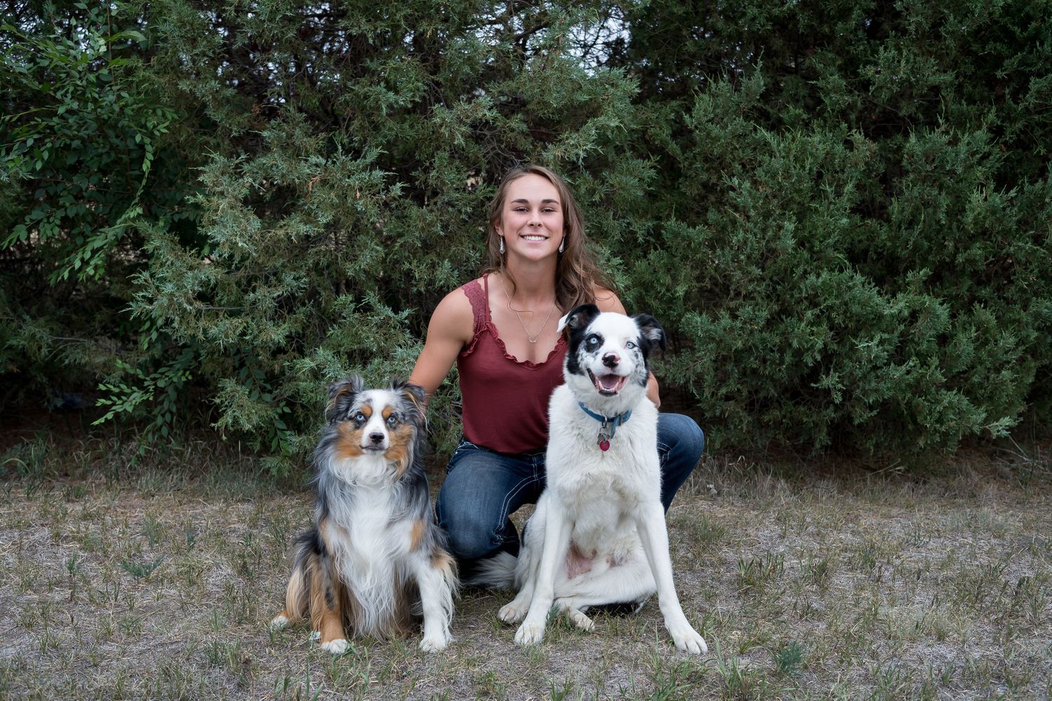 Animals - Photo Phun By Rip