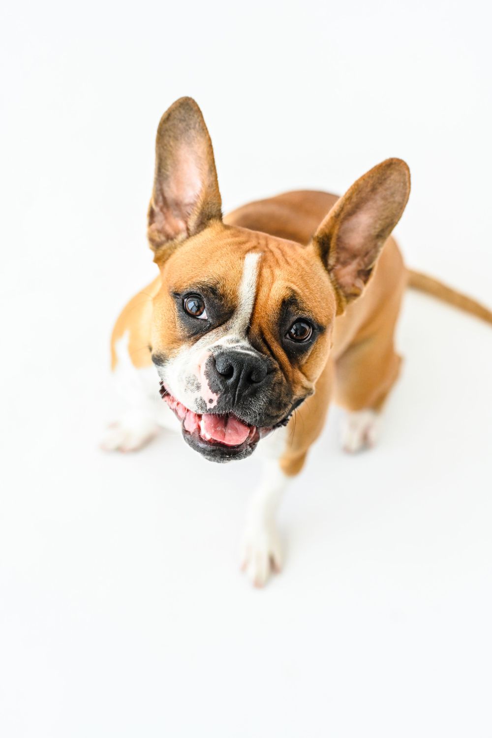 Headshots Copy - Studio Figueroa