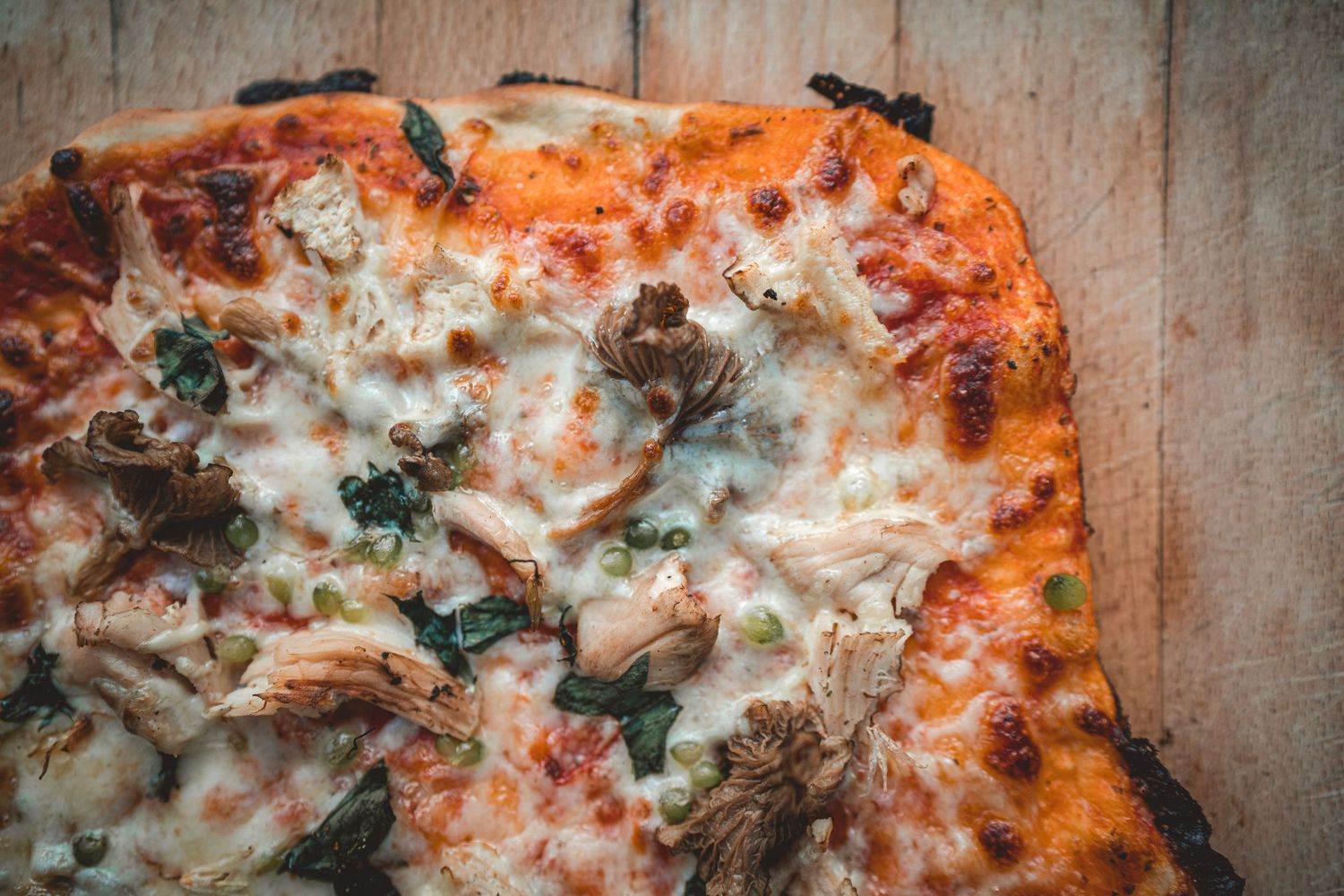 Recipes: Wild Mushroom Pizza - The Grizzly Forager: The Definitive ...
