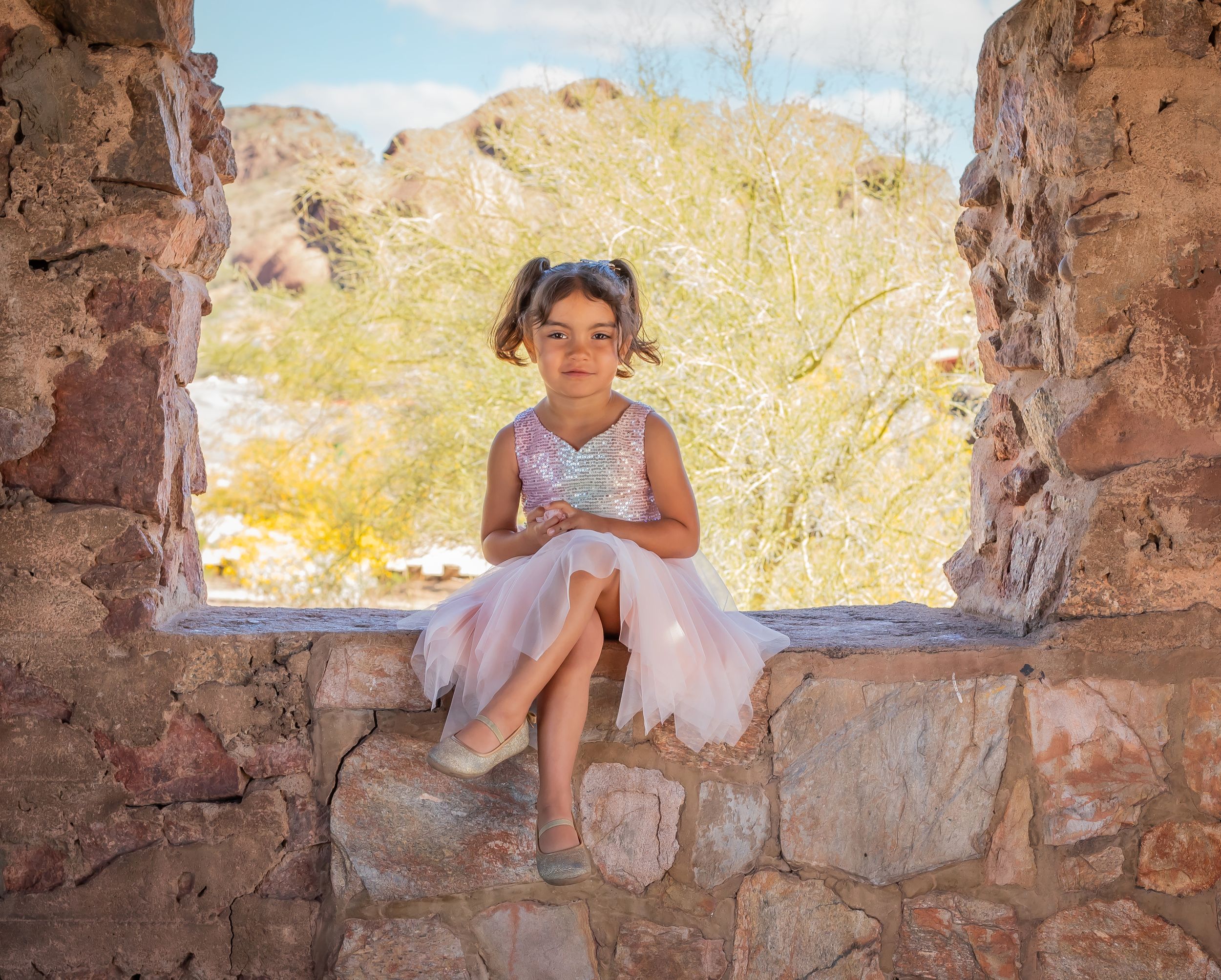 Rose Visual Captures