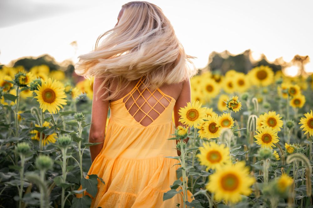 Emma's Senior at the Sunflower fields - Holly Schell Photography Senior ...
